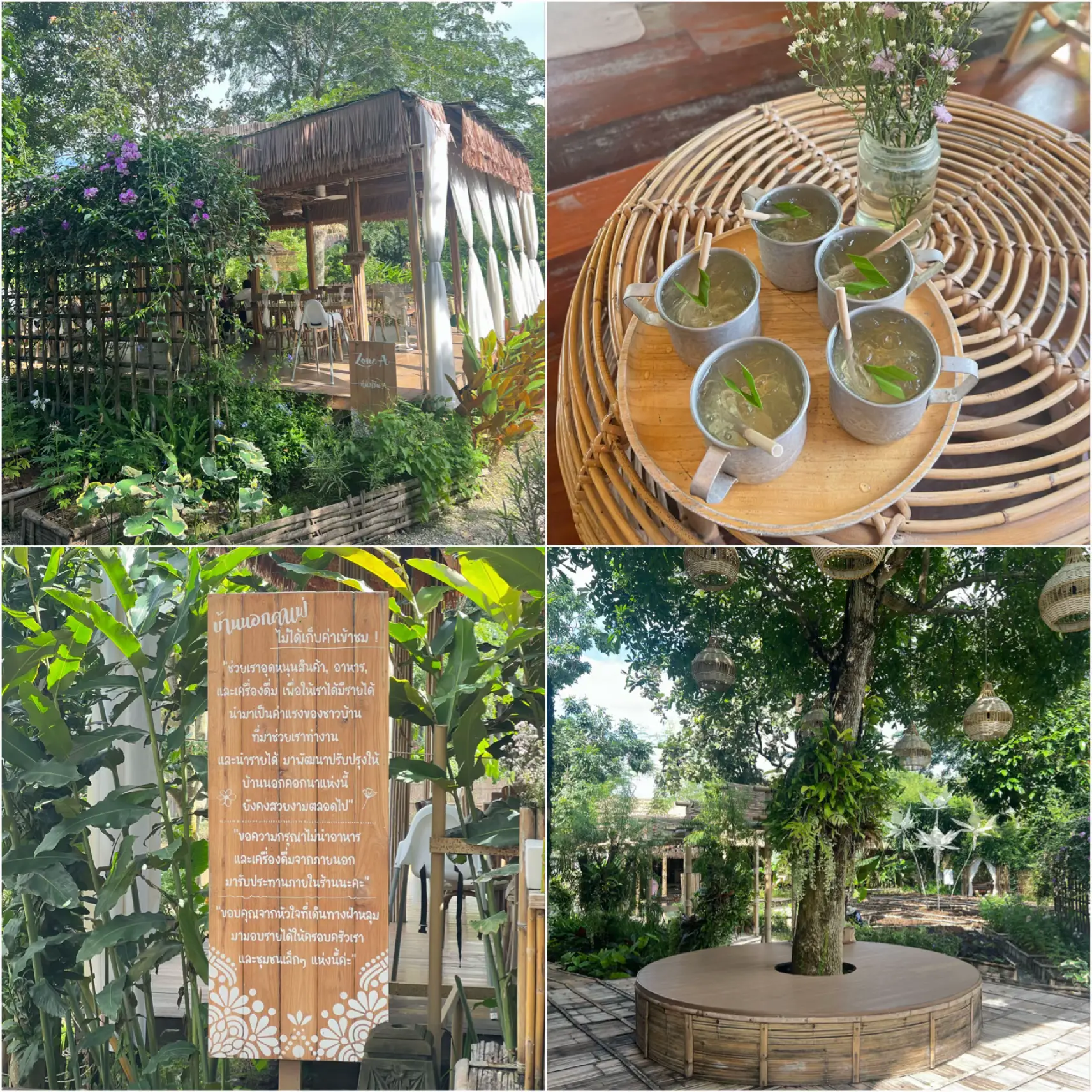 เที่ยวเขาใหญ่ พักที่ไหนดี?? | แกลเลอรีที่โพสต์โดย Ardy ️ | Lemon8