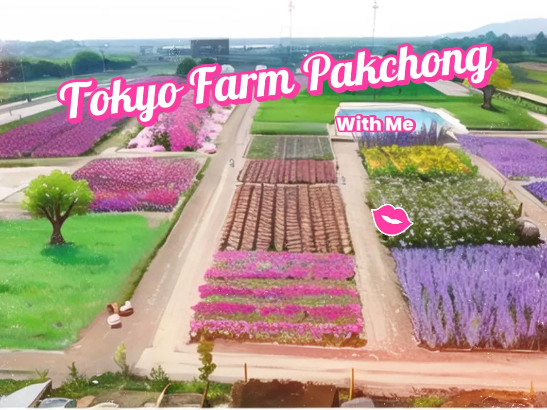 Tokyo Farm Pakchong | แกลเลอรีที่โพสต์โดย TokyoFarm | Lemon8