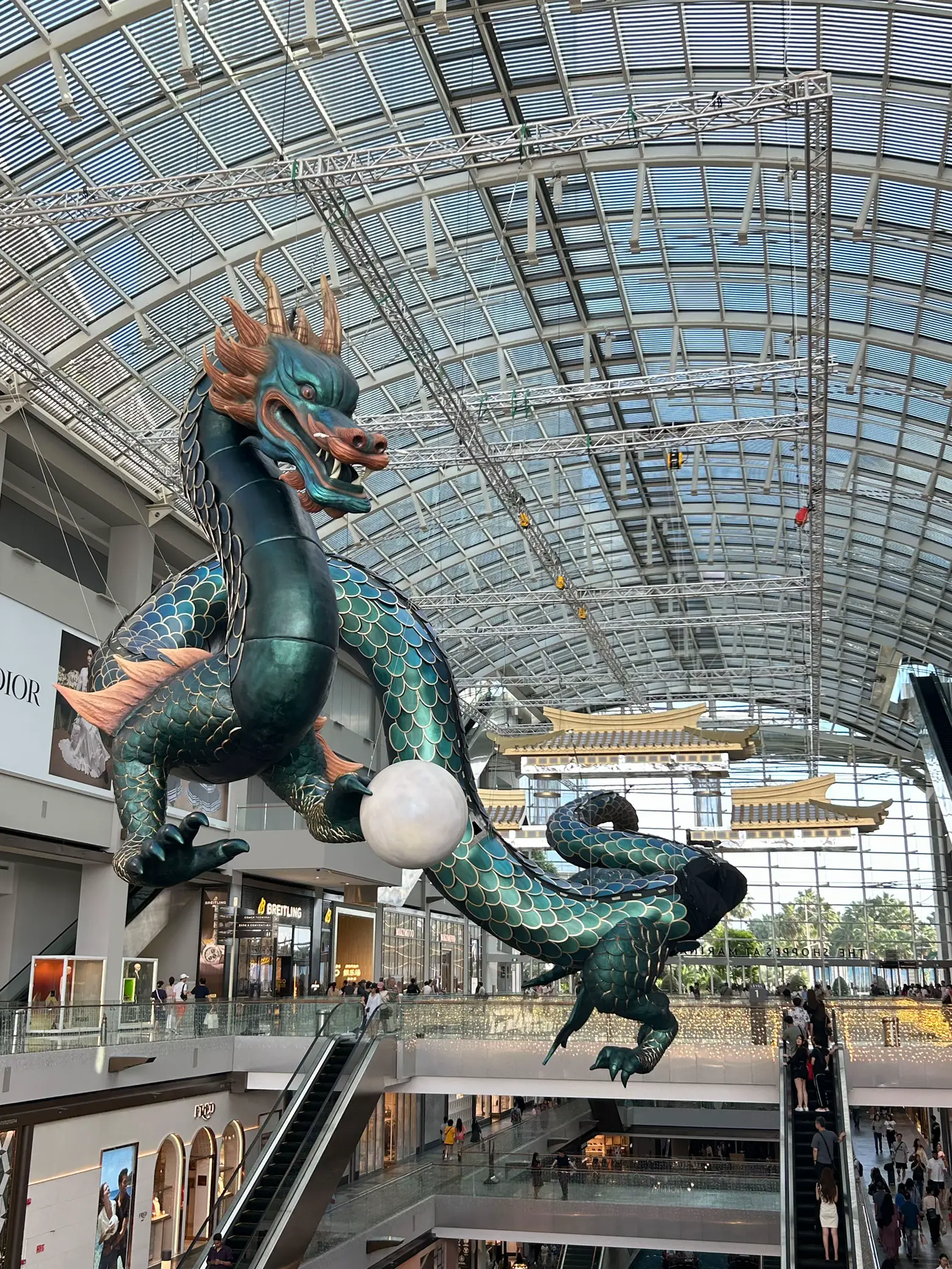 MBS dragon🐲 | Gallery posted by 坡岛丸子Sophia🍡 | Lemon8