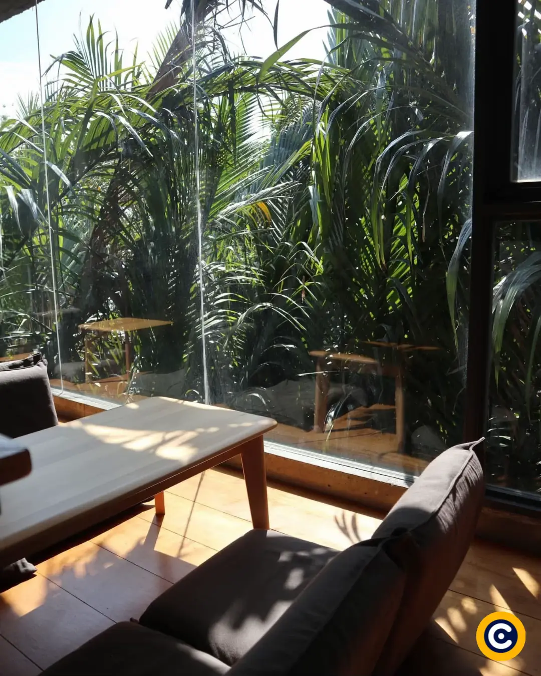 หนีความวุ่นวายมาชิลในธรรมชาติที่ HiddenWoods โฮมสเตย์คาเฟ่ | แกลเลอรีที่โพสต์โดย ชวนกินหนีเที่ยว ...