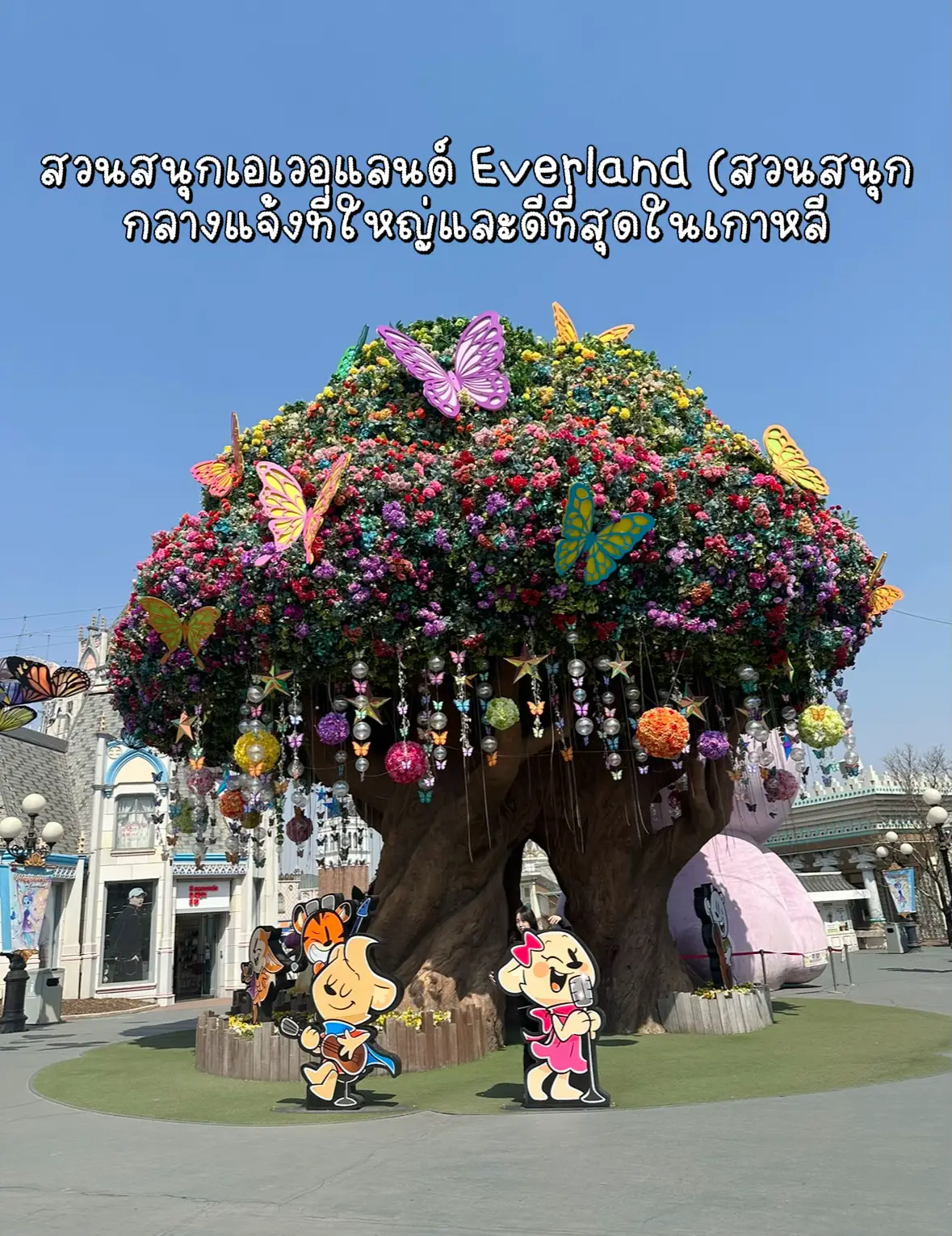 [Korea]เจาะแพลน(เที่ยว)ลึก Day2 ไปไหนบ้าง ฉบับทัวร์ | แกลเลอรีที่โพสต์โดย ˚ ༘ Patperries🥯 | Lemon8