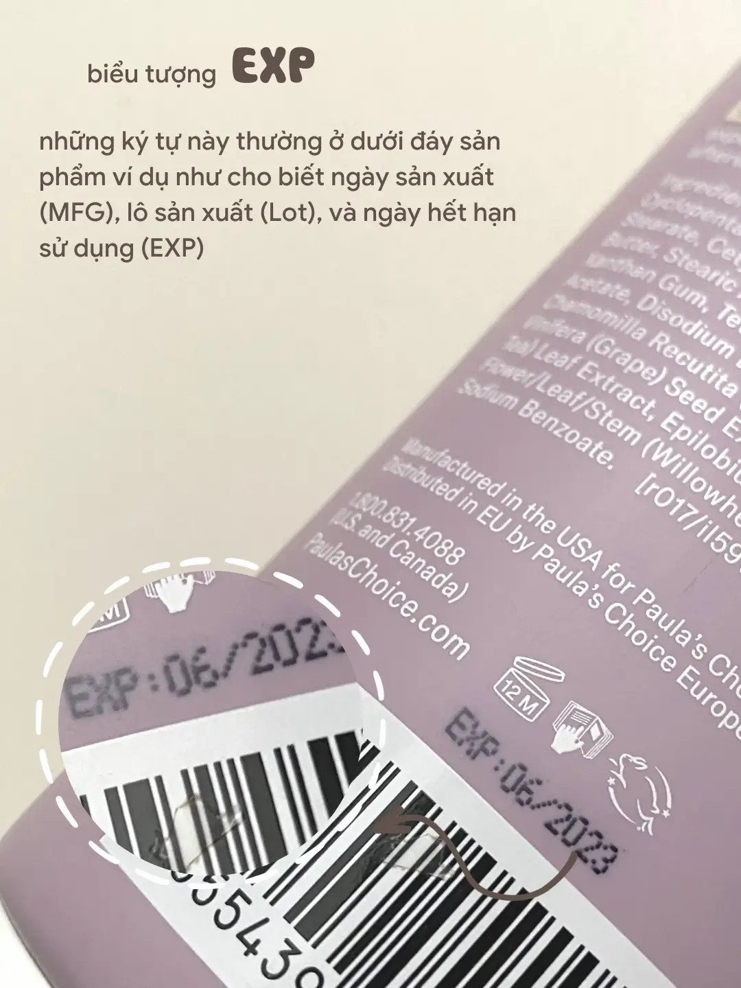 Ký Hiệu EXP Nghĩa Là Gì: Khám Phá Ý Nghĩa Đa Chiều Thú Vị!