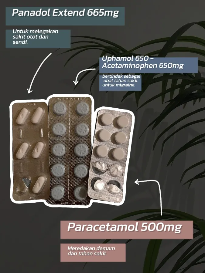 Ubat Yang Harus Ada Dalam Rumah | Galeri disiarkan oleh Somey | Lemon8
