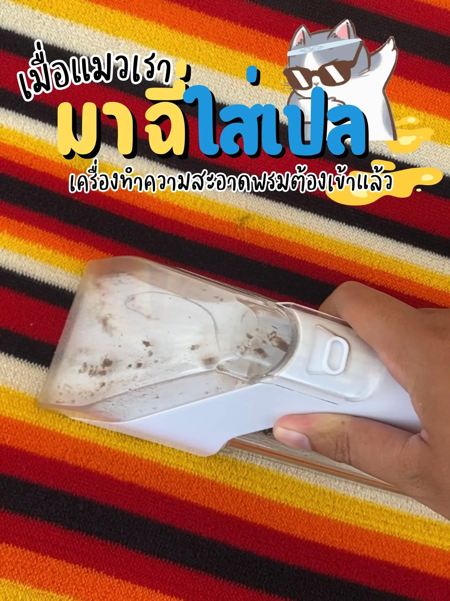 เมื่อแมวเรามาฉี่ใส่เปล💦 | วิดีโอที่เผยแพร่โดย MarkLAB | Lemon8