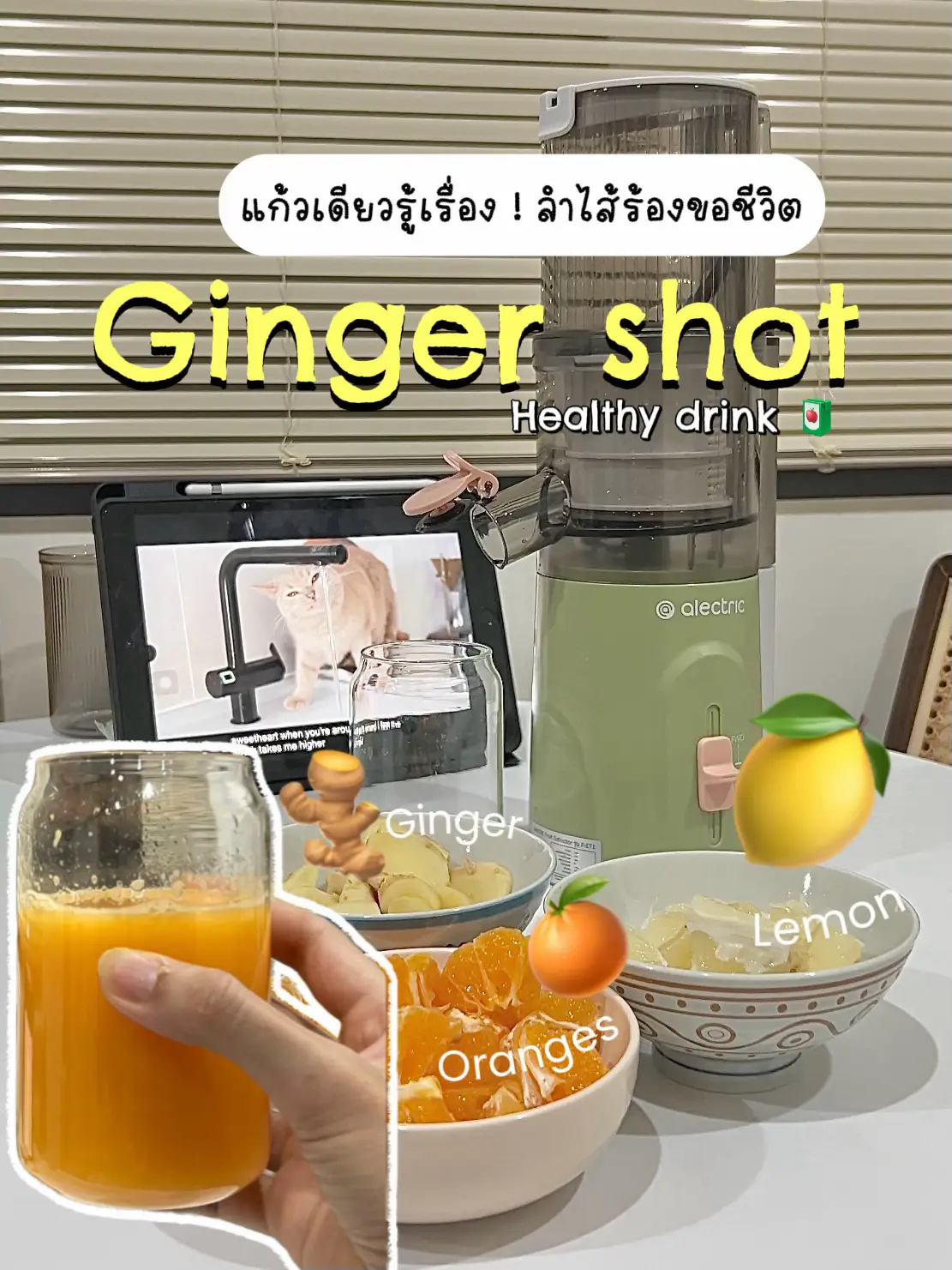แก้วเดียวรู้เรื่อง #แจกสูตรเครื่องดื่ม | แกลเลอรีที่โพสต์โดย 💘 JANECHN | Lemon8