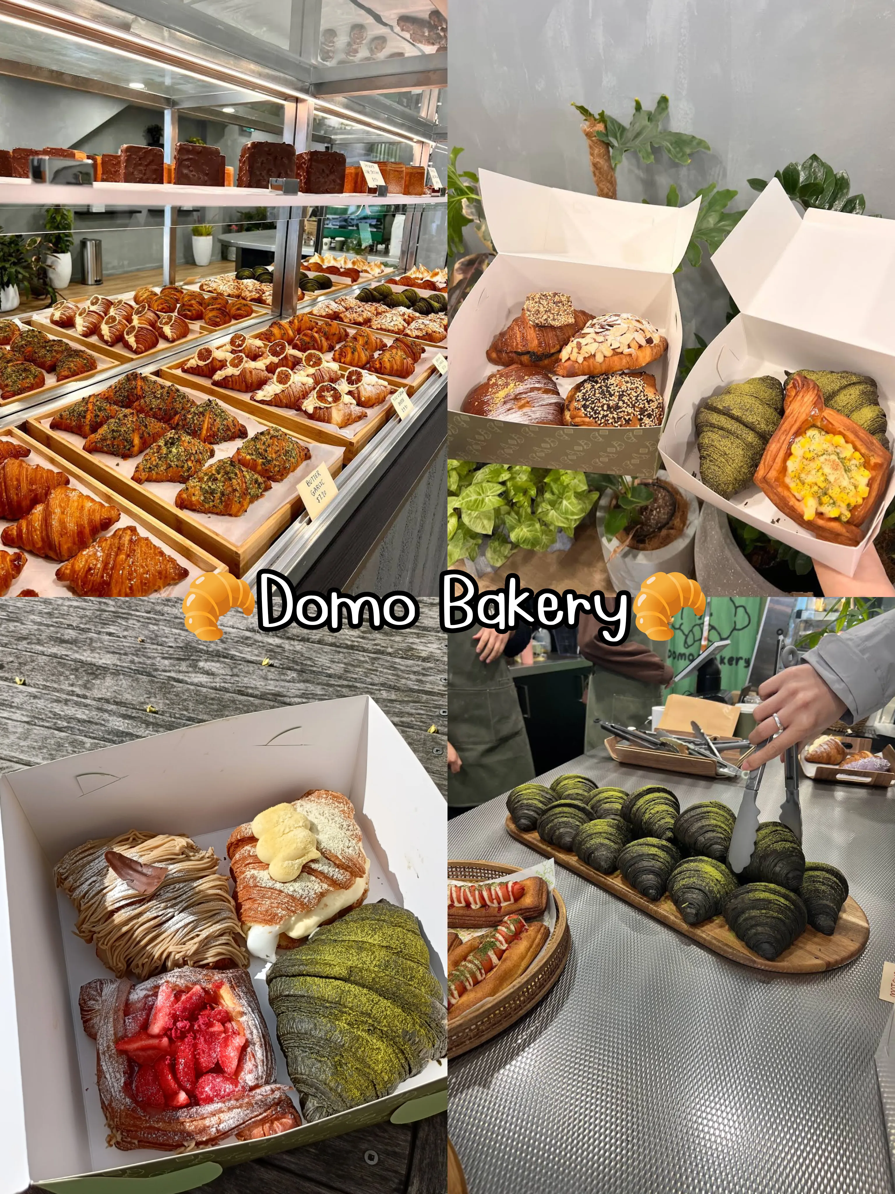 🇳🇿 แนะนำร้านขนมหวาน ใน Auckland | แกลเลอรีที่โพสต์โดย BaiBua 🍊⁀ | Lemon8