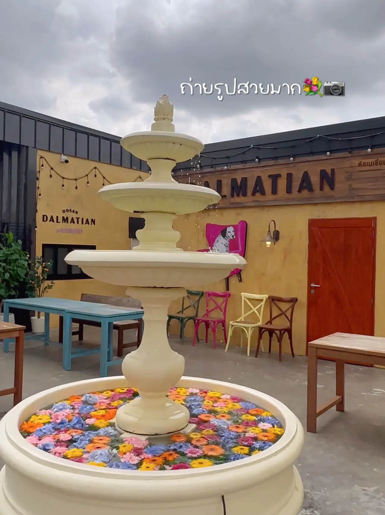 🇰🇷Dalmatian 달마시안 Siam Square Block I | แกลเลอรีที่โพสต์โดย ททท เที่ยว ...