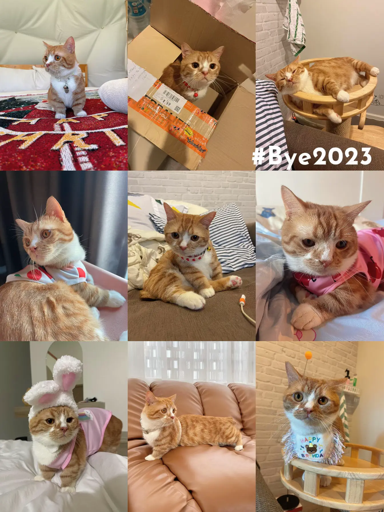 Bye bye 2023 👋🏼 | แกลเลอรีที่โพสต์โดย bebow🎈42♾ | Lemon8