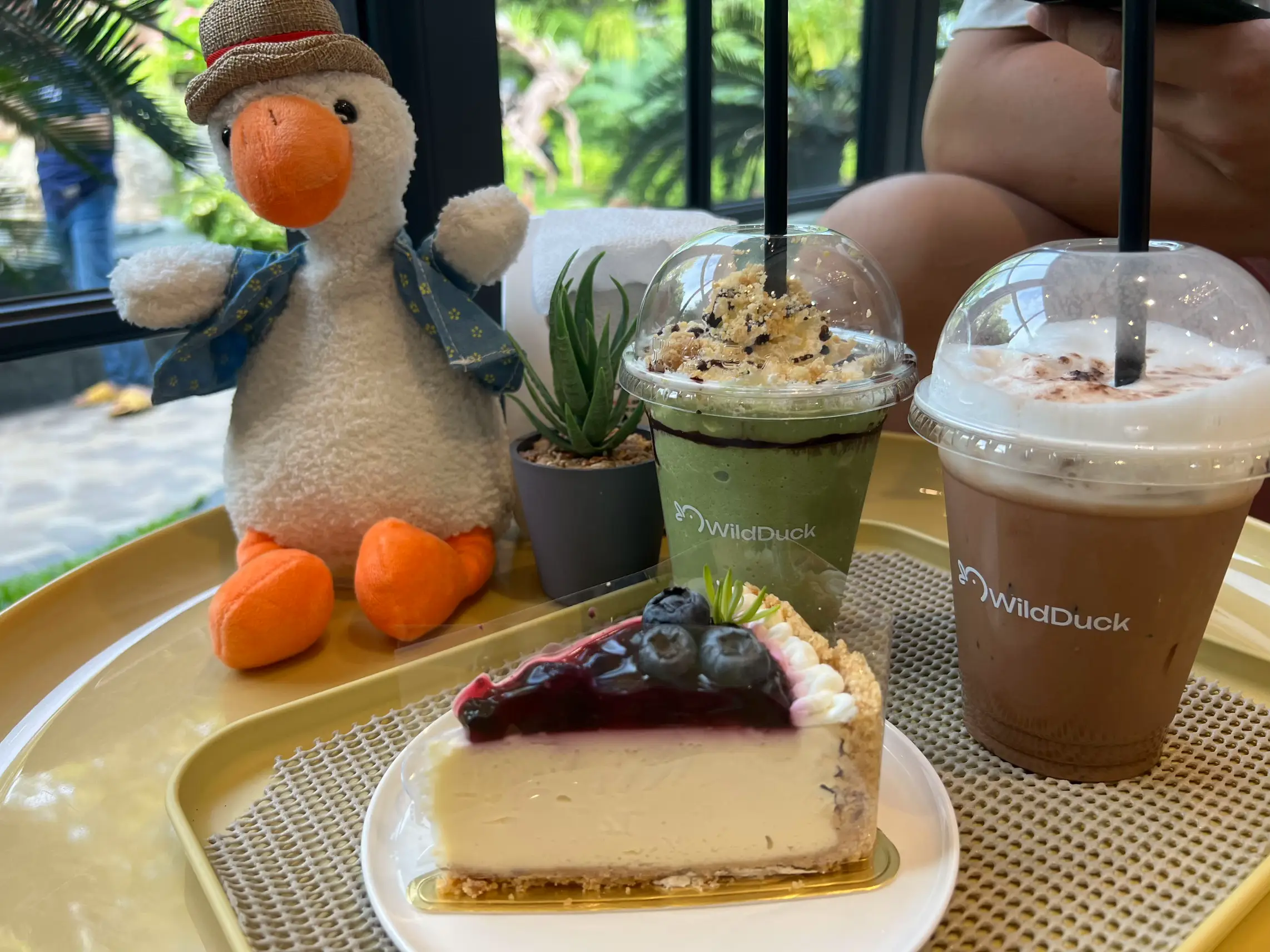 Wild Duck Cafe คาเฟ่เป็ด ย่านมีนบุรี | แกลเลอรีที่โพสต์โดย riangploy ...