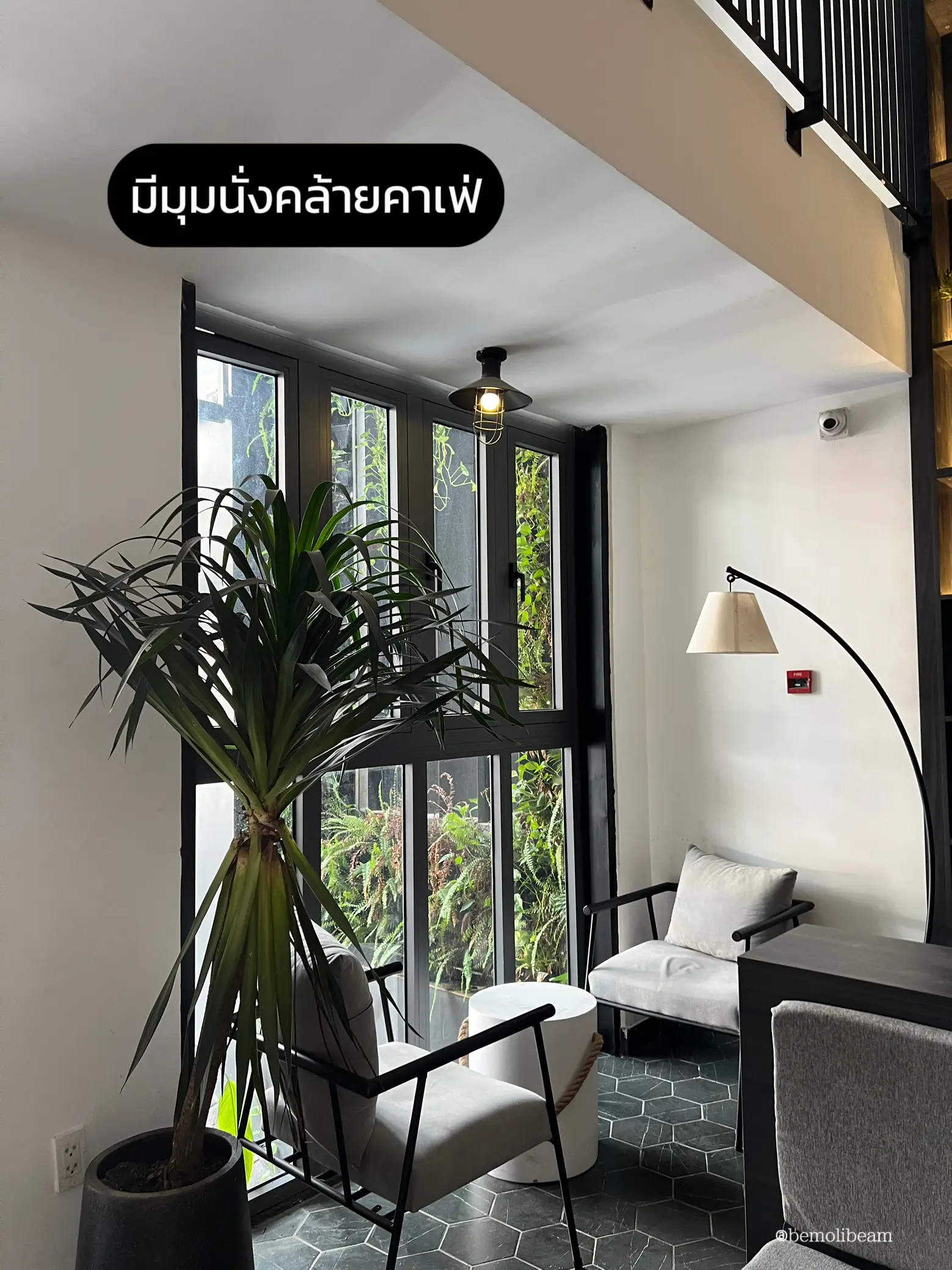 🛌โรงแรมเวียดนามคืนละ 436 บาท ที่โฮจิมินห์ | Mint Hotel 🇻🇳 | แกลเลอรีที่ ...