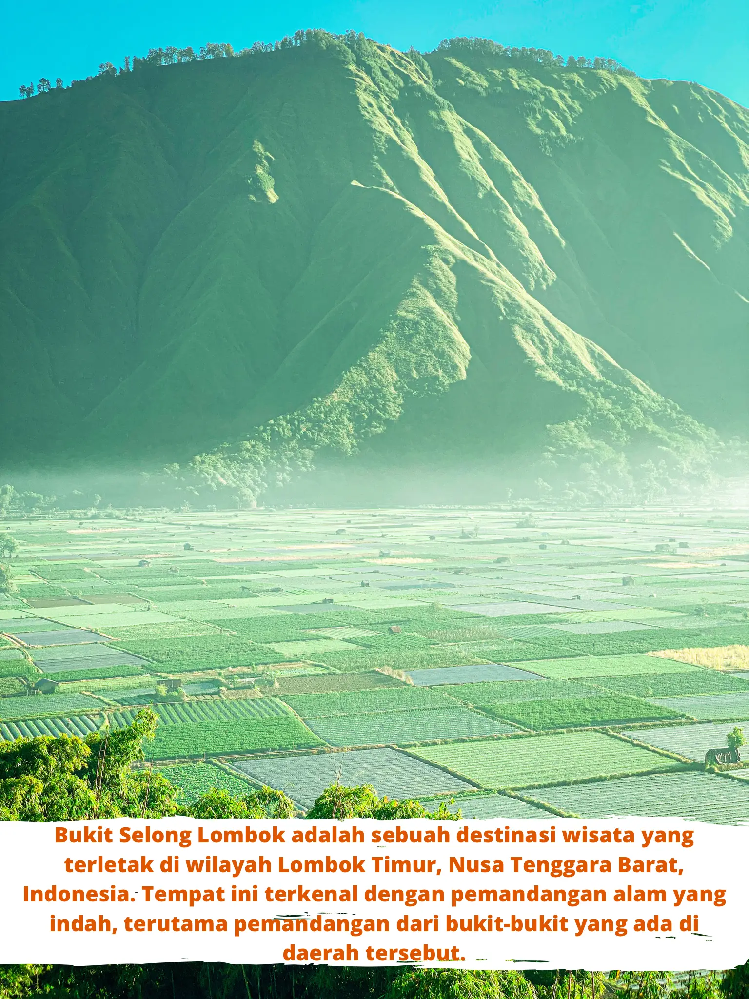 Main-Main di Bukit Selong Sembalun Lombok 🍀 | แกลเลอรีที่โพสต์โดย andre.simsek | Lemon8