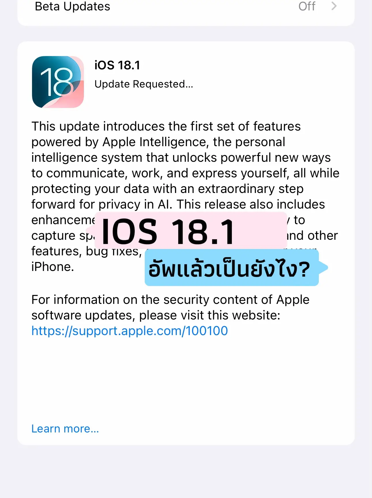 iOS 18.1まではどうですか? 遊びましょう。 | ᪤𓈒 meowmatchaが投稿したフォトブック | Lemon8