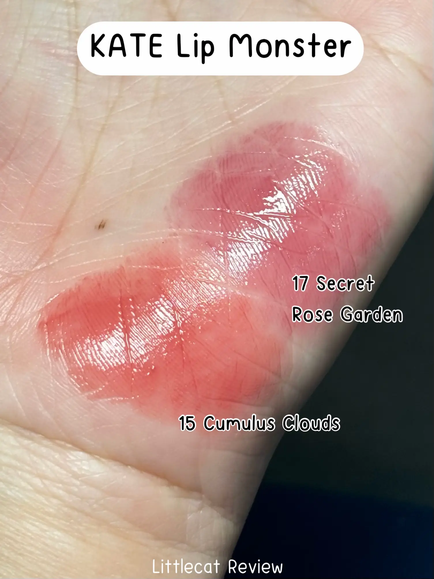 ลิปลูกรัก KATE Lip Monster ตัวเดียวเอาอยู่!💋 | แกลเลอรีที่โพสต์โดย LittlecatReview | Lemon8