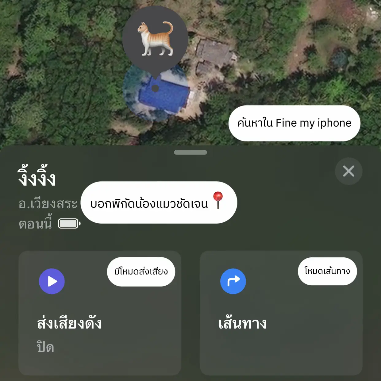Mi tag เครื่องติดตามบลูธูท! 📍🗺️ | แกลเลอรีที่โพสต์โดย นักป้ายยาราคาดี ...
