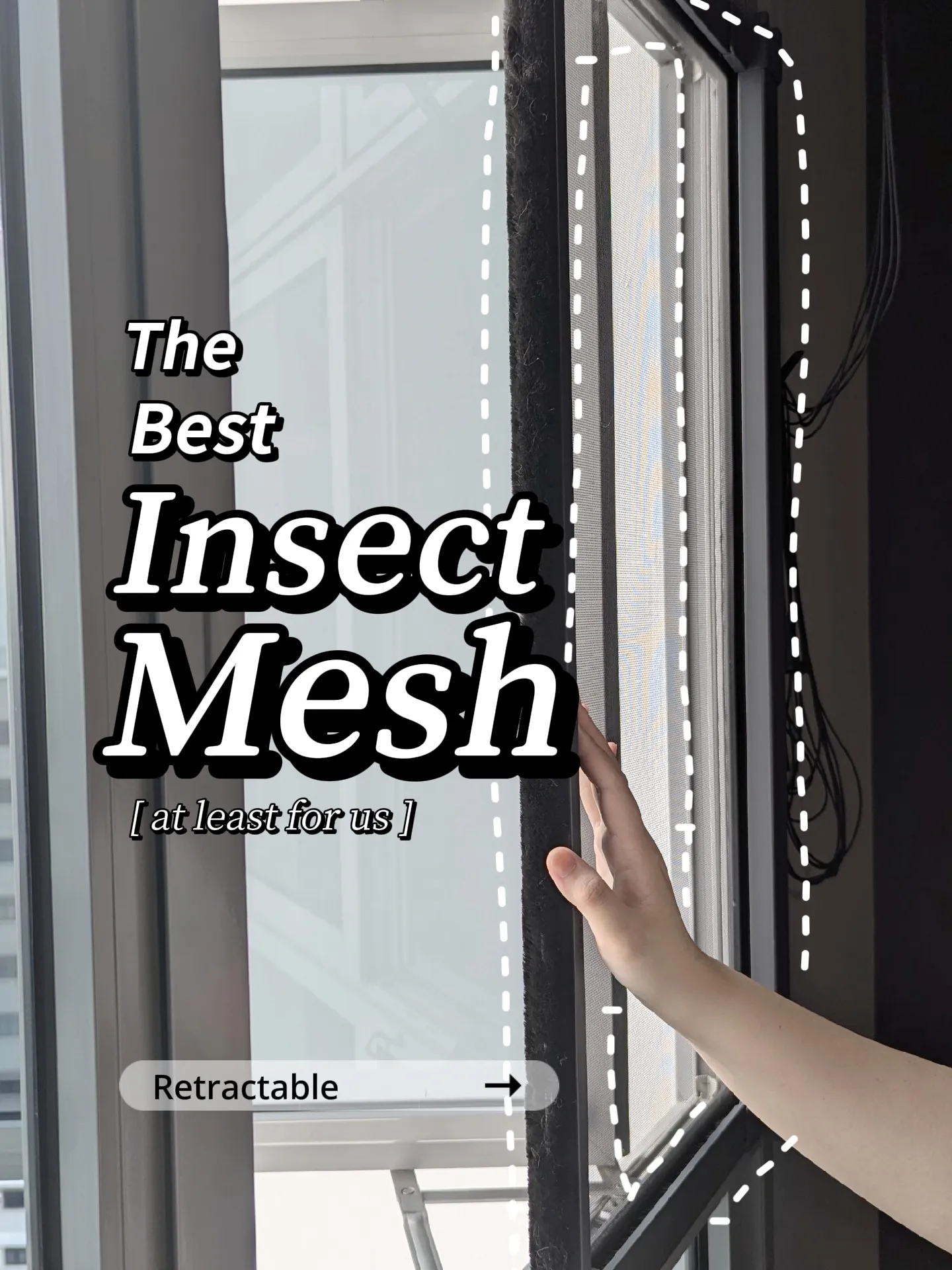 Perhaps the best insect mesh so far? | Gallery posted by Haus Of Baos 🏠 ...