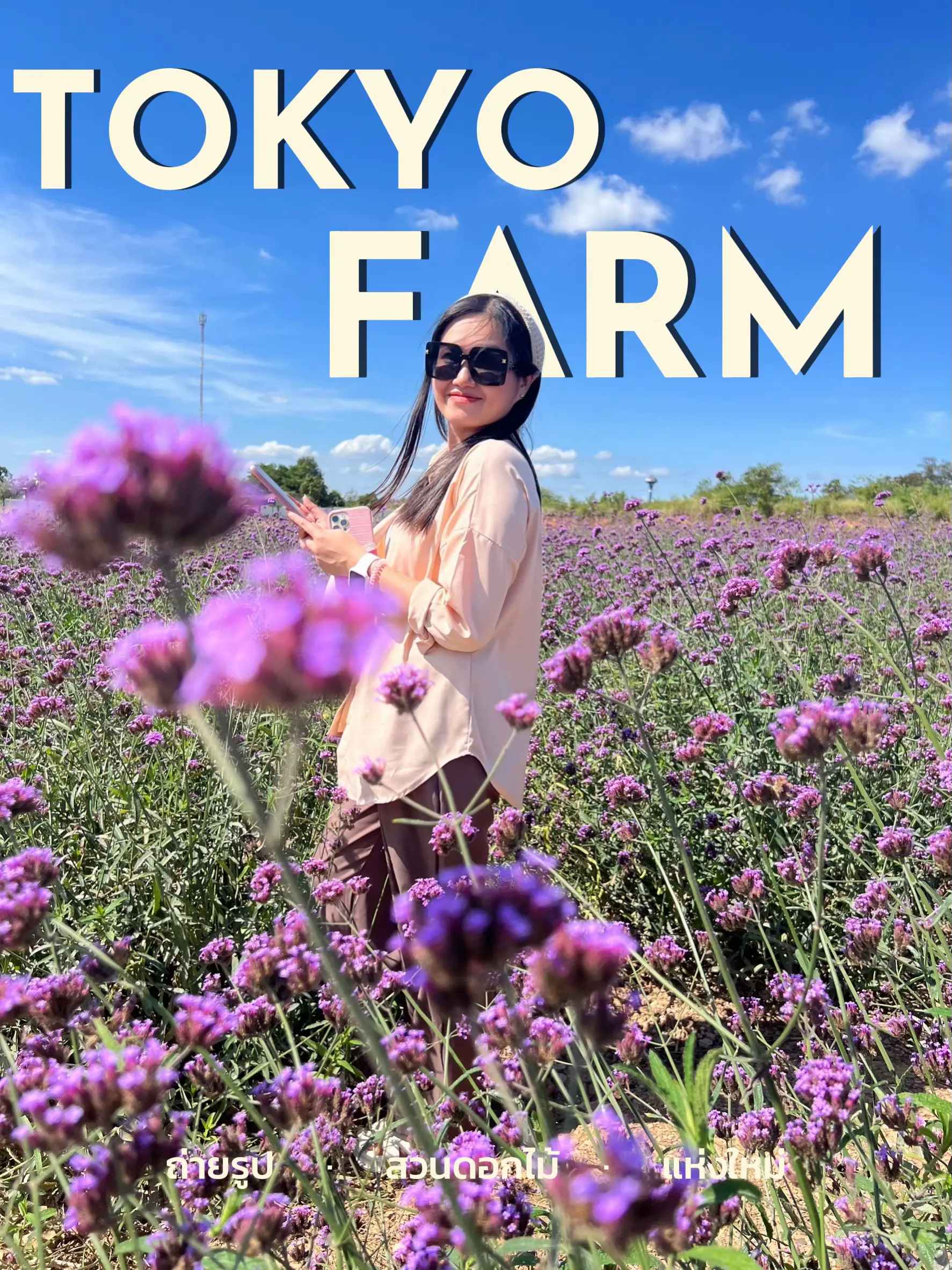 TOKYO FARM @ ปากช่อง | แกลเลอรีที่โพสต์โดย Aomja68 | Lemon8