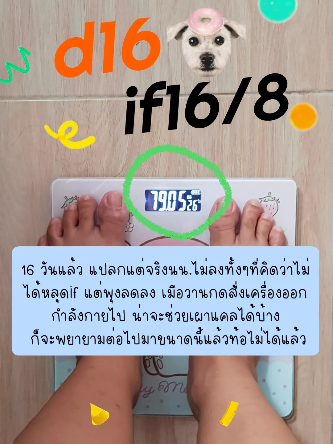 if16/8 สัปดาห์ที่ [ 3 ]ตต.80.90 🍋4/12/66 -10/12/66 | แกลเลอรีที่โพสต์โดย paployja | Lemon8