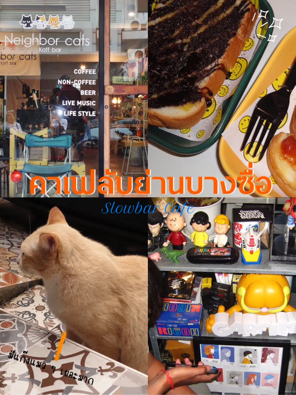 Neighbor Cats Koff Bar • คาเฟ่ฮีลใจ ย่านบางซื่อ 🐈 | แกลเลอรีที่โพสต์โดย storysnut | Lemon8