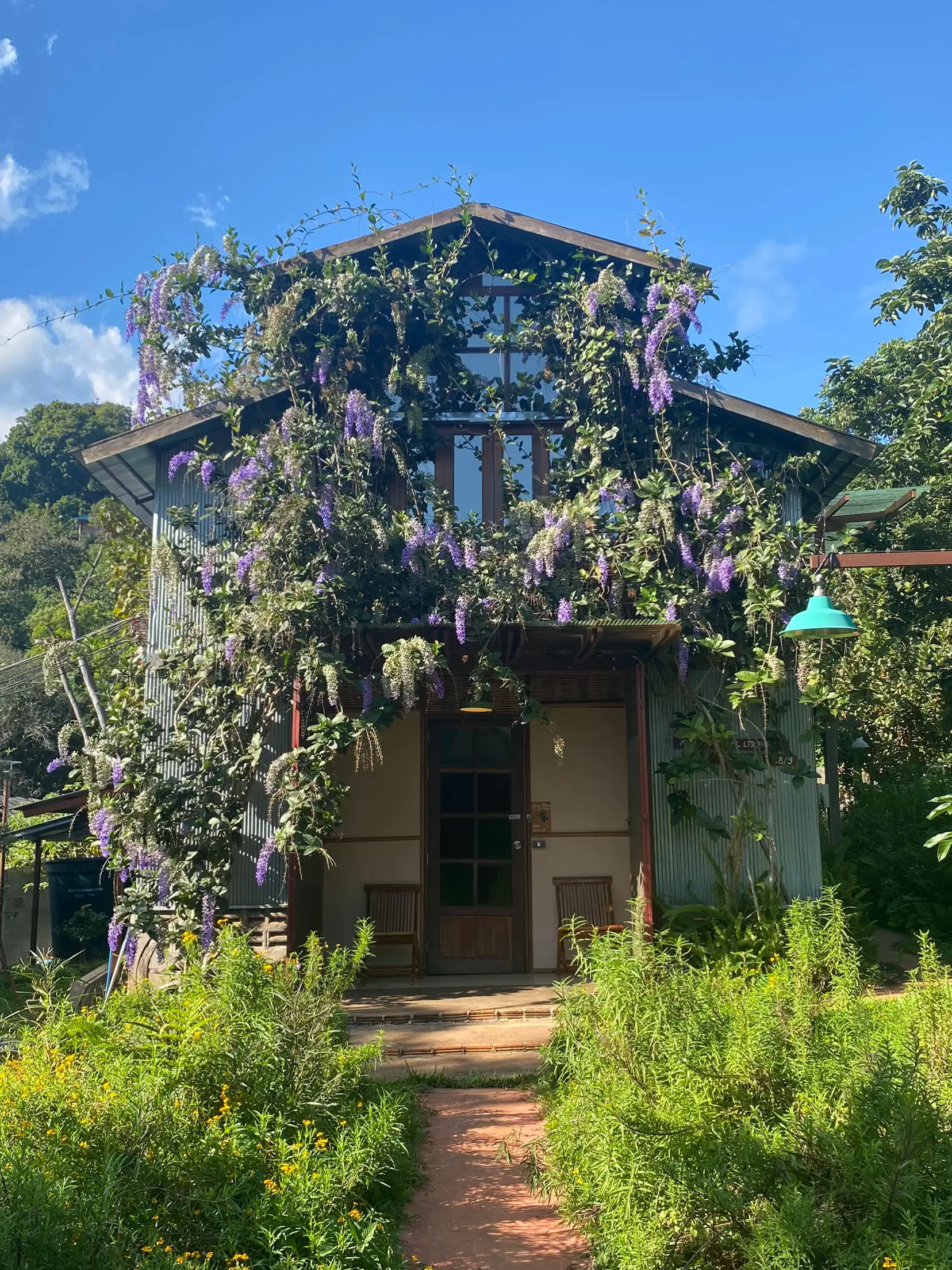 🌱รีวิว MORI FARM @Chiang Mai ห้องสวย เหมือนอยู่ในภาพวาด🥹 | แกลเลอรีที่ ...
