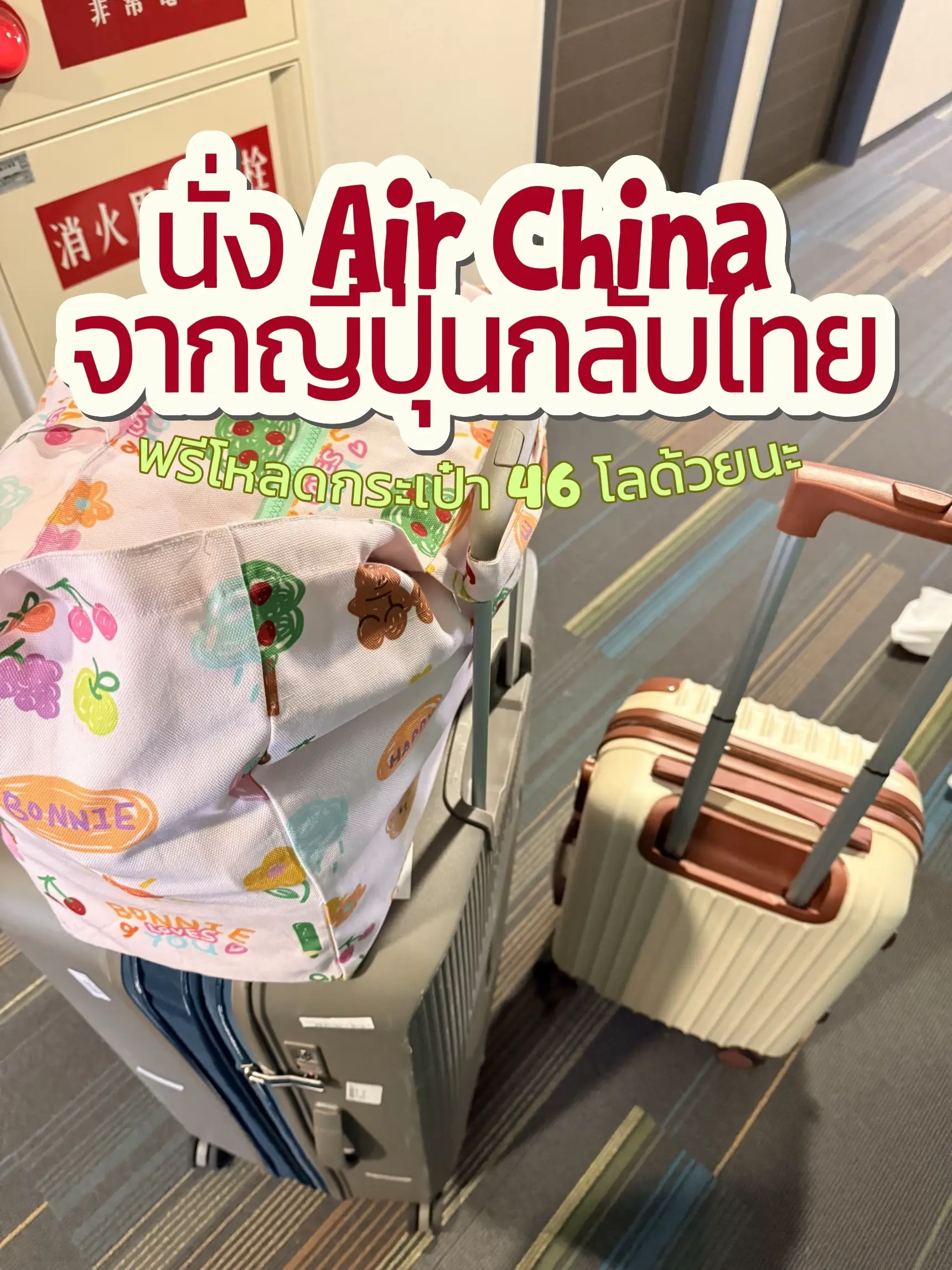 นั่ง Air China จากญี่ปุ่นกลับไทย | แกลเลอรีที่โพสต์โดย Ploymrk | Lemon8