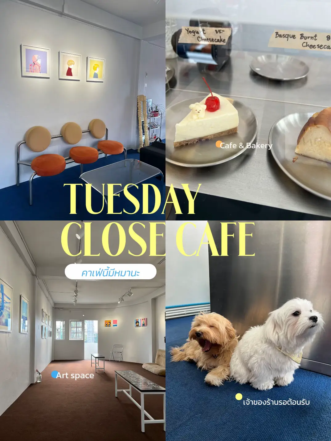 Tuesday closed cafe : คาเฟ่นี้มีหมานะ 🐶🐶 | แกลเลอรีที่โพสต์โดย SANDEE ...