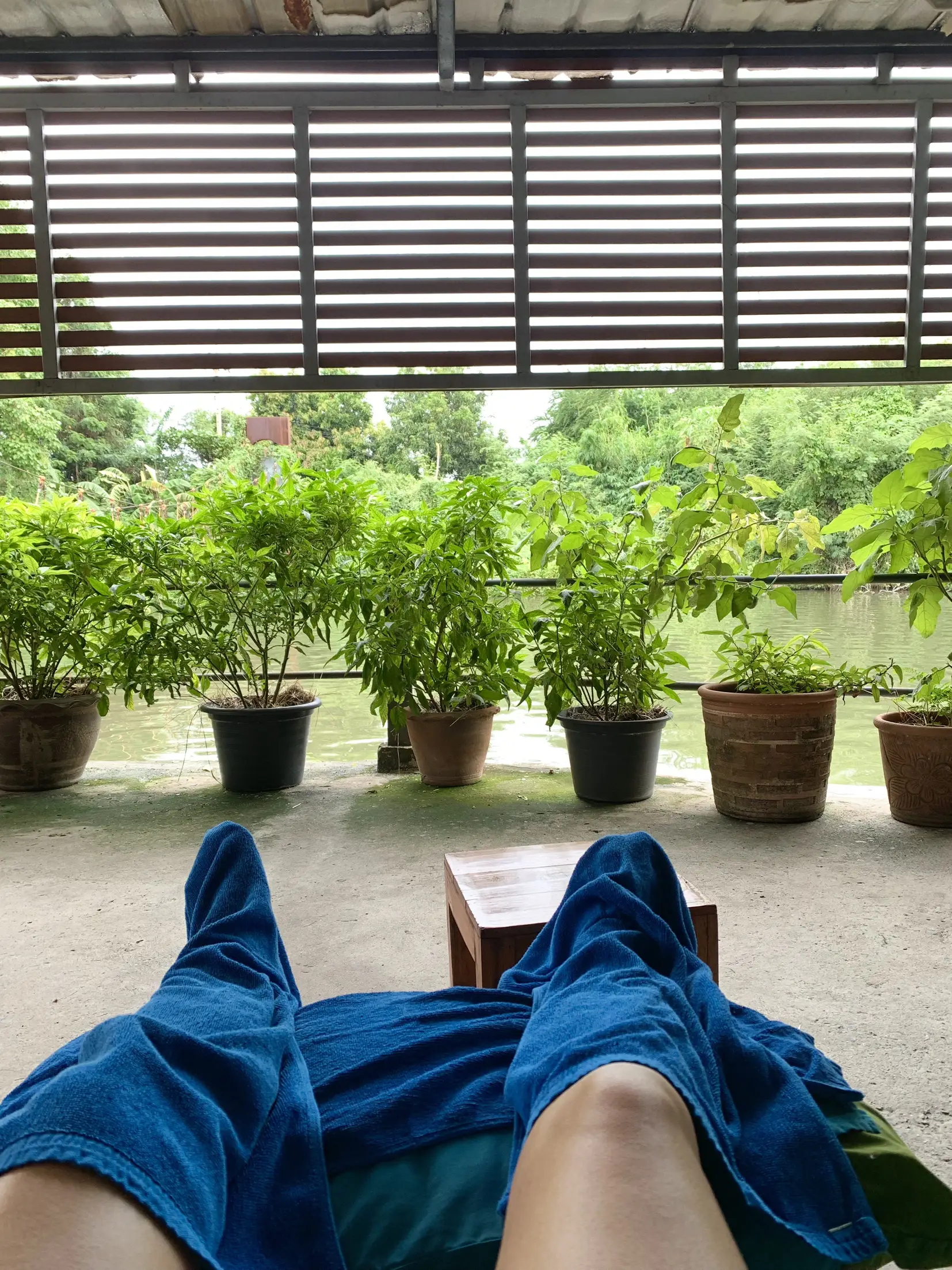 🌻แนะนำร้านนวด บรรยากาศริมน้ำ ราคาถูก ย่านสะพานใหม่ | แกลเลอรีที่โพสต์ ...