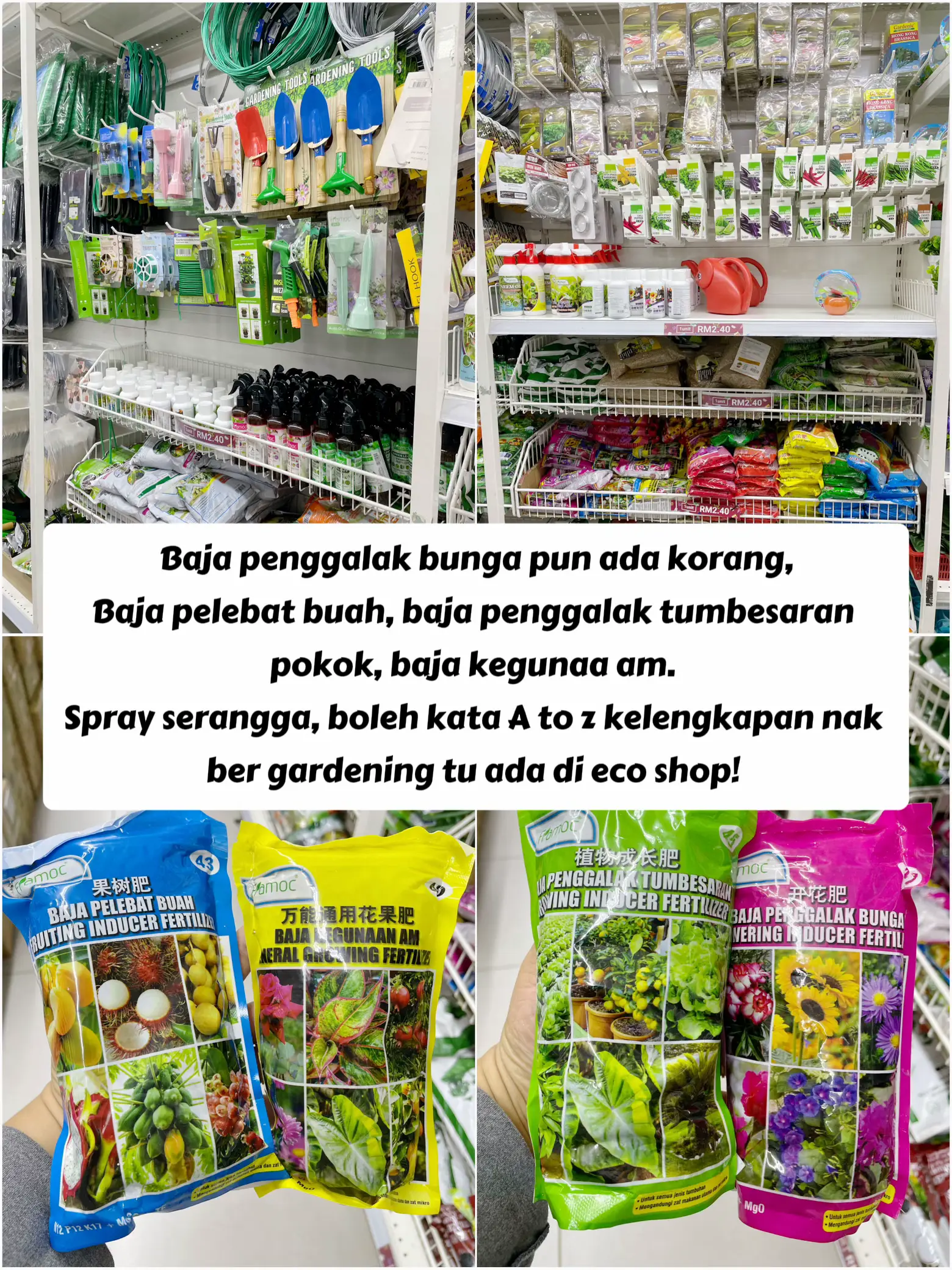 Hobby Weekend : Gardening 🌱🌱 | Galeri disiarkan oleh PnSyuhaida | Lemon8