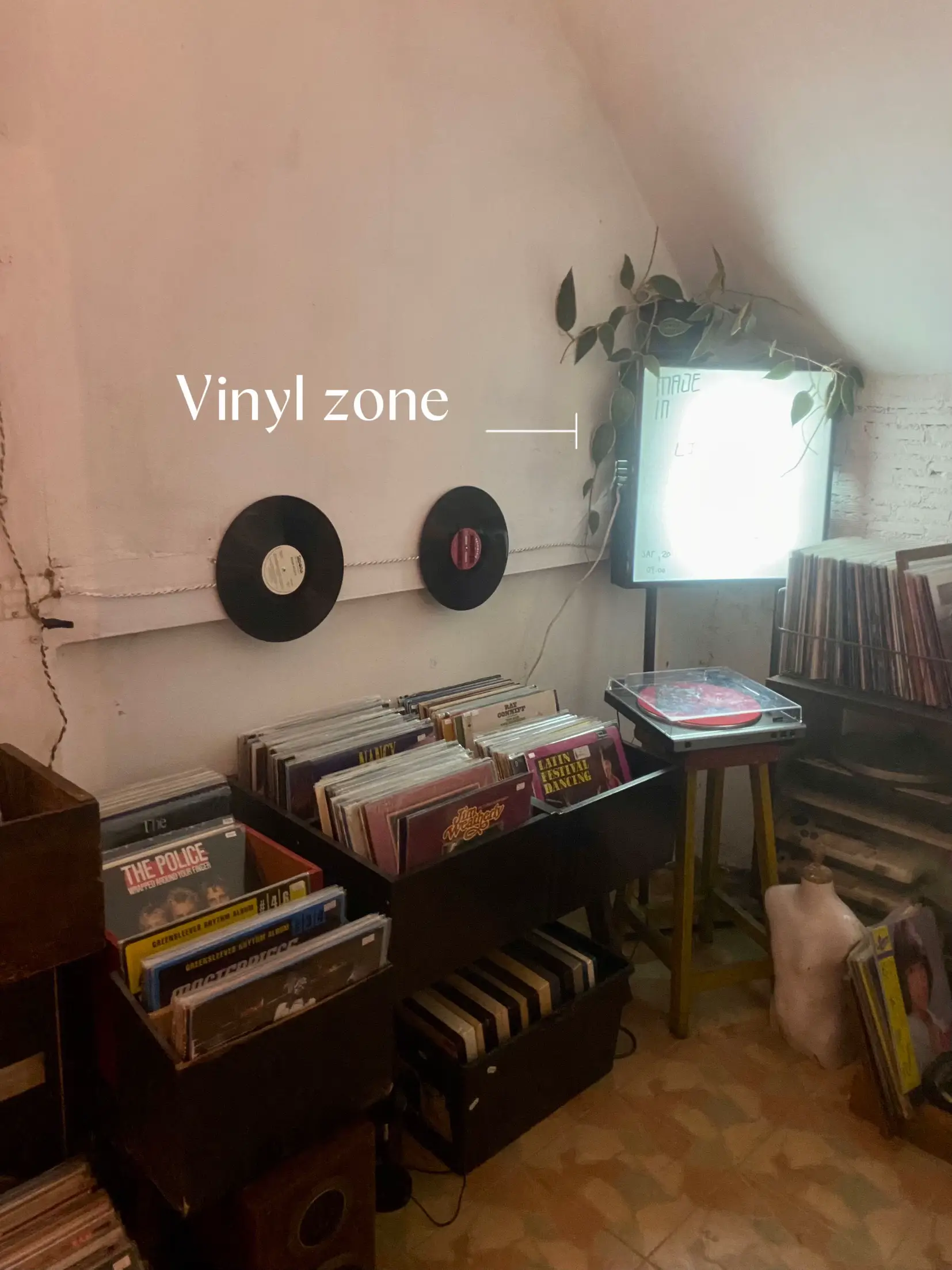 Vinyl bar เทสดีประจำบางแสน📀 | แกลเลอรีที่โพสต์โดย mantra.mon | Lemon8