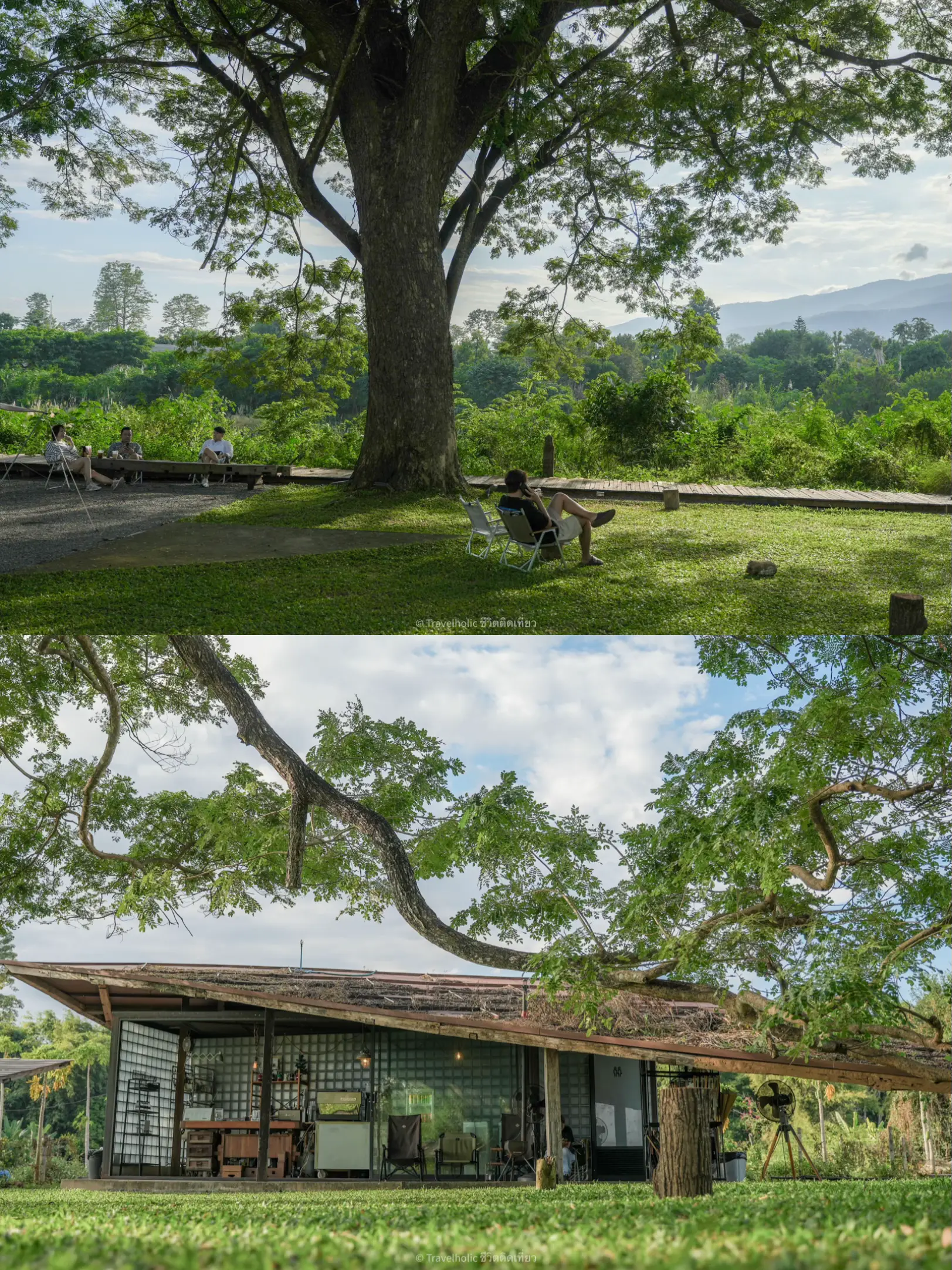 Artisan x 123 Glamp คาเฟ่แกลมปิ้งริมแม่น้ำปิงสุดชิลเชียงใหม่ | แกลเลอรีที่โพสต์โดย travelholic ...