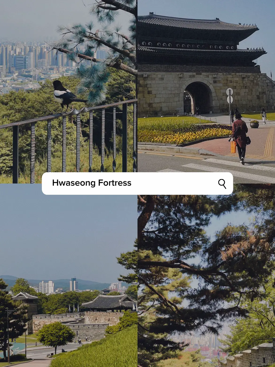 Suwon 1 day trip 🏯 | แกลเลอรีที่โพสต์โดย guntunian | Lemon8