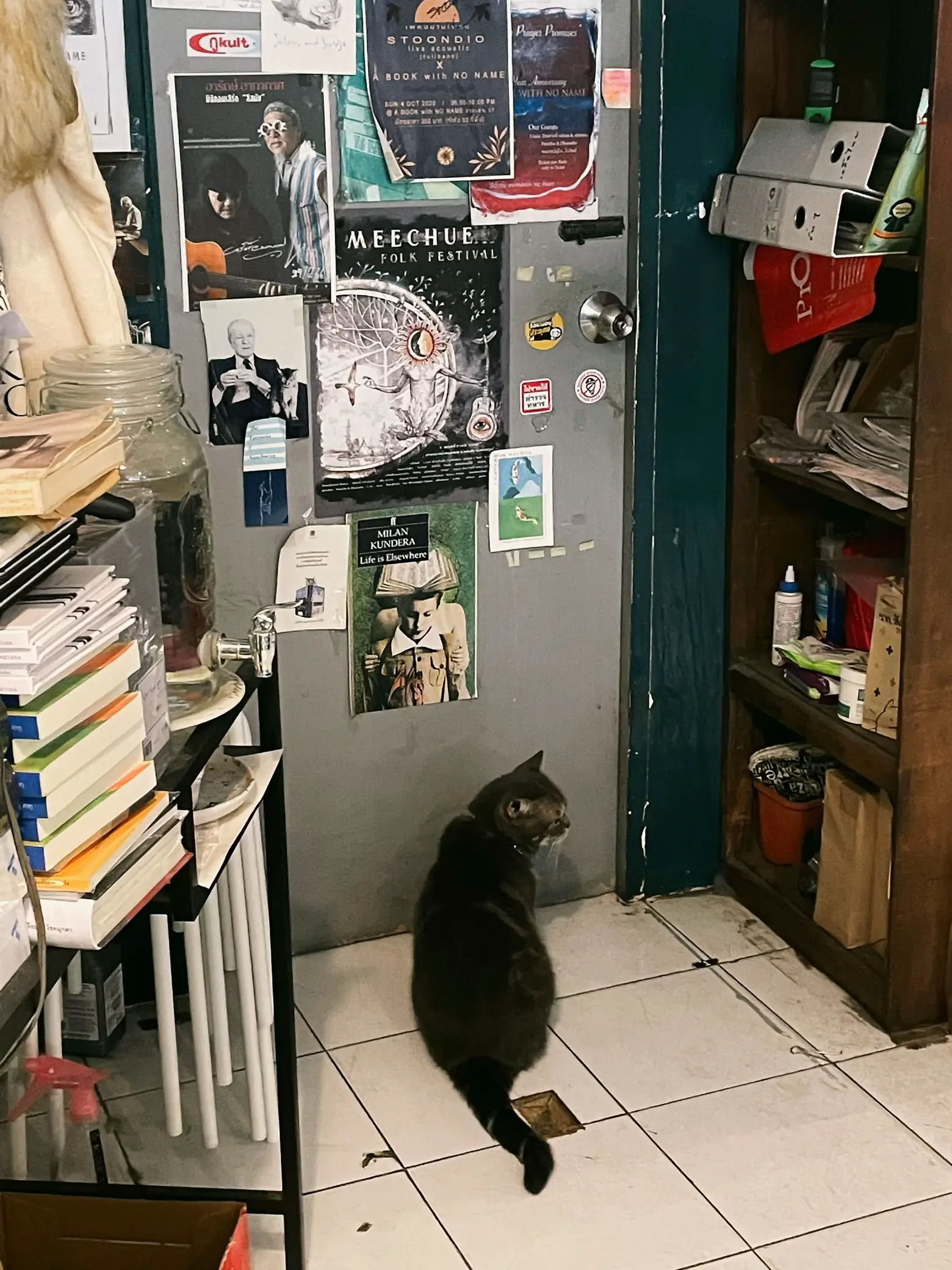 นั่งอ่านหนังสือ-เล่นแมว-จิบกาแฟ ที่ A book with no name📖🐱☕️ | แกลเลอรี ...