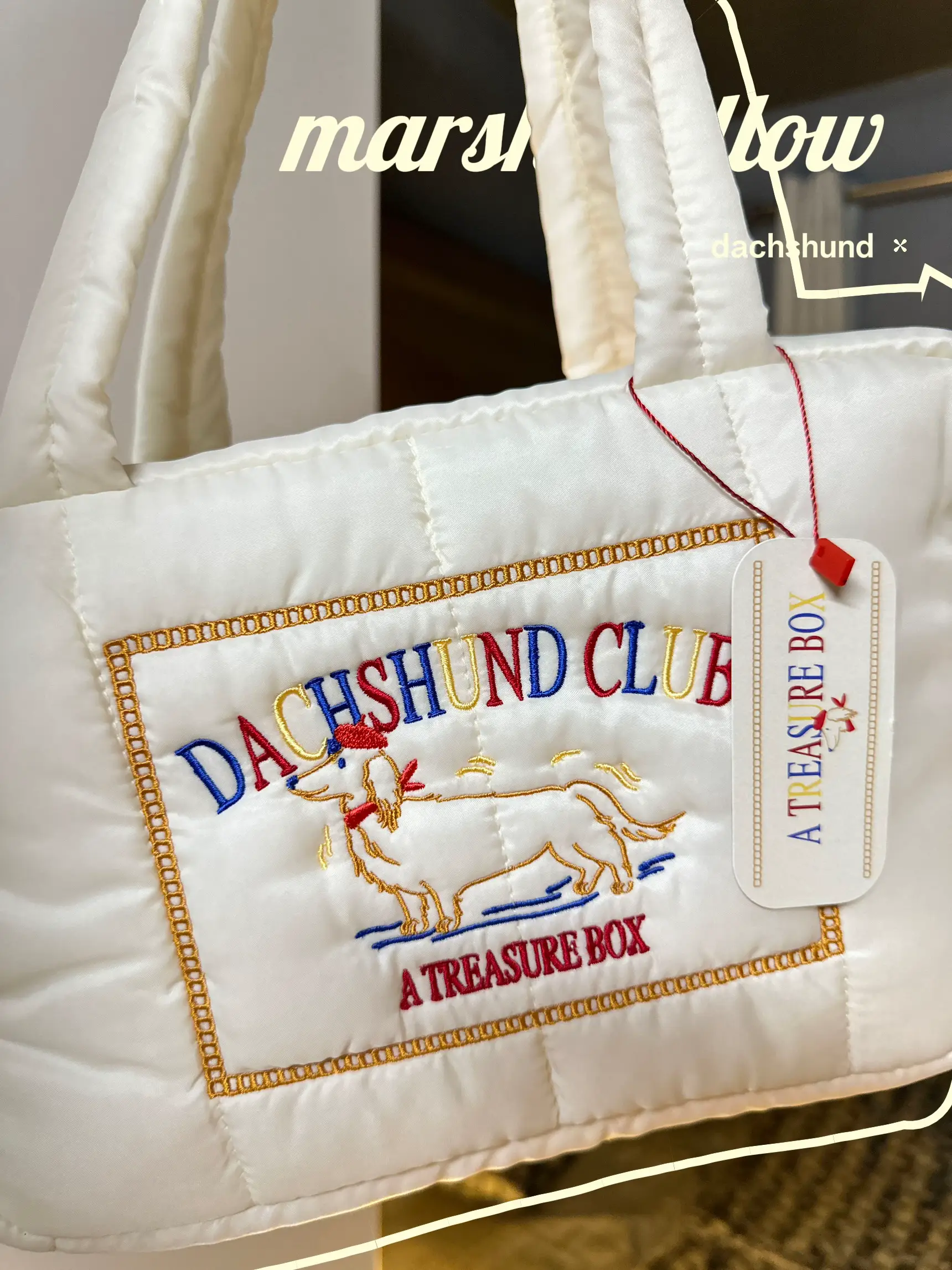 marshmallow dachshund 🐶🌭 | แกลเลอรีที่โพสต์โดย . | Lemon8