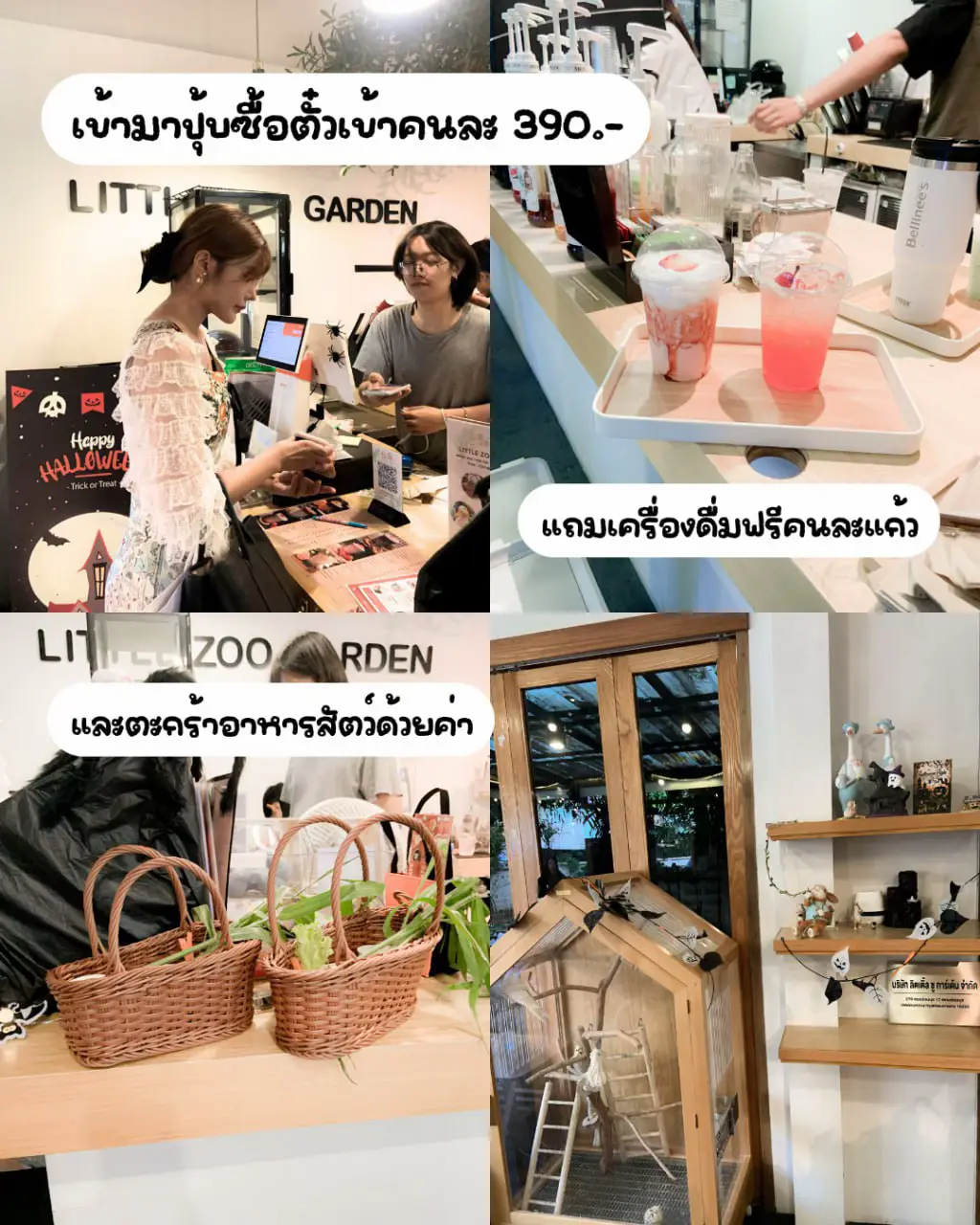 🌷𝑳𝒊𝒕𝒕𝒍𝒆 𝒁𝒐𝒐 𝑮𝒂𝒓𝒅𝒆𝒏 𝑪𝒂𝒇𝒆🕊️🌳 ชวนมาจกพุง แก๊งค์คาปิบาร่าา | แกลเลอรีที่โพสต์โดย Chompoopear | Lemon8