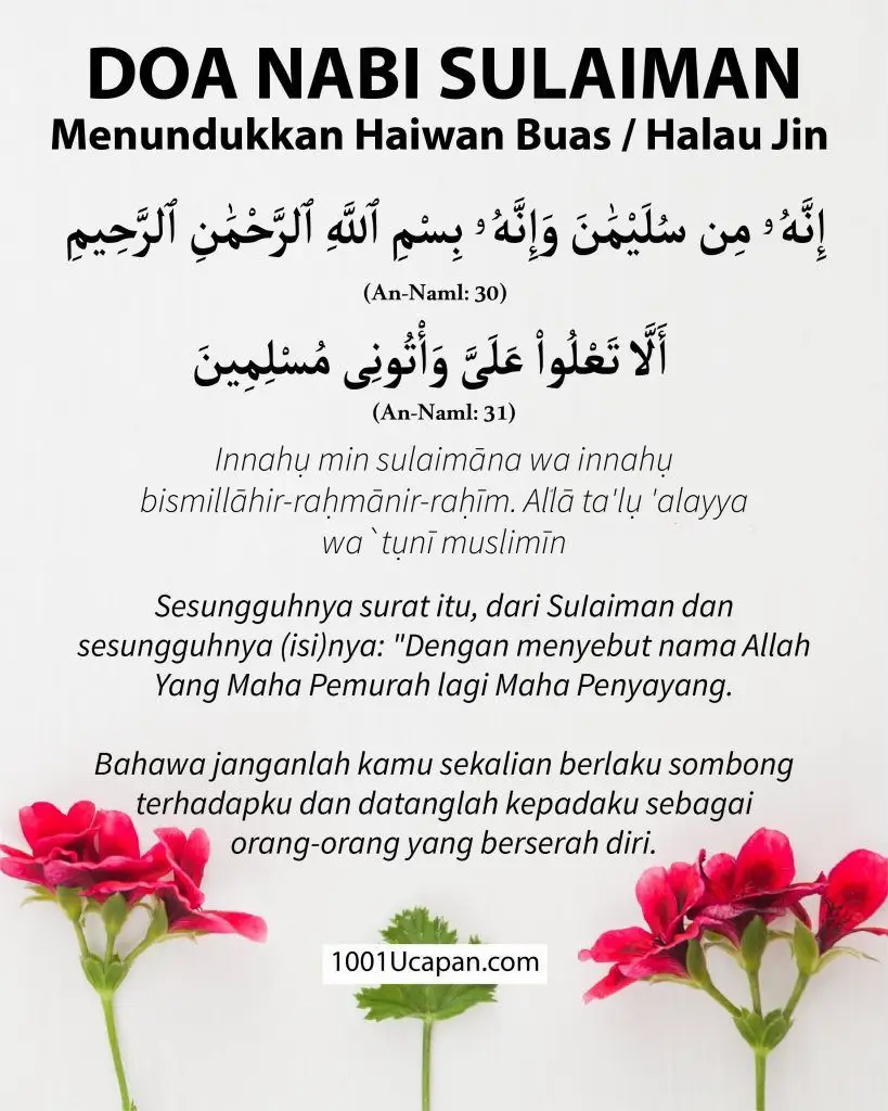 DOA NABI SULAIMAN | Galeri disiarkan oleh ༘˚⋆𐙚｡Murni🌷 | Lemon8