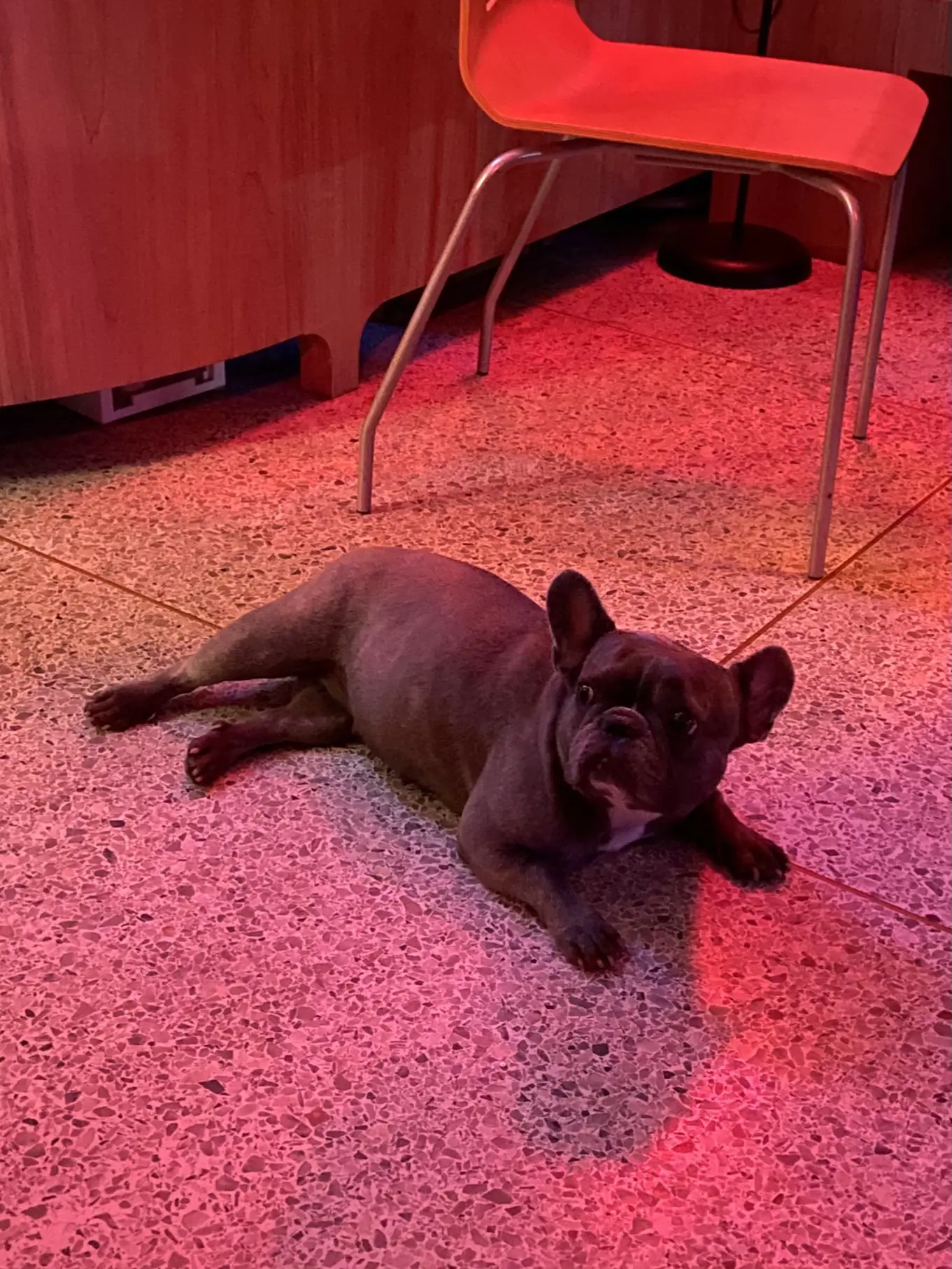 🍸Du.u.sleep?- บาร์ไม่ลับที่ต้องมาสักครั้งใน Pattaya🍻🍷 | แกลเลอรีที่โพสต์โดย Shall we sip 🍷 | Lemon8