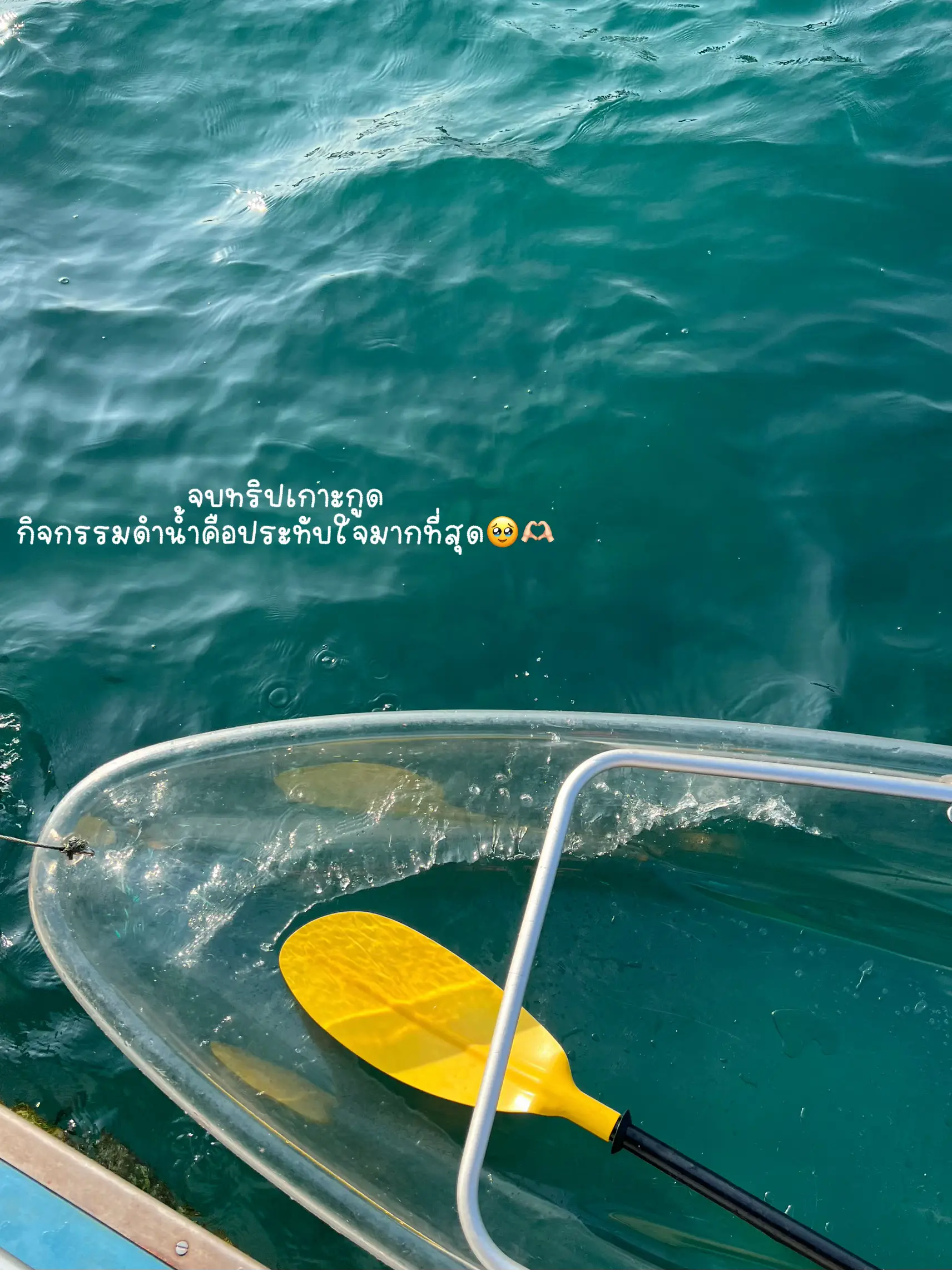 ดำน้ำกับปู่พาเที่ยว 🤿🐠 | แกลเลอรีที่โพสต์โดย Jakwa🦒 | Lemon8