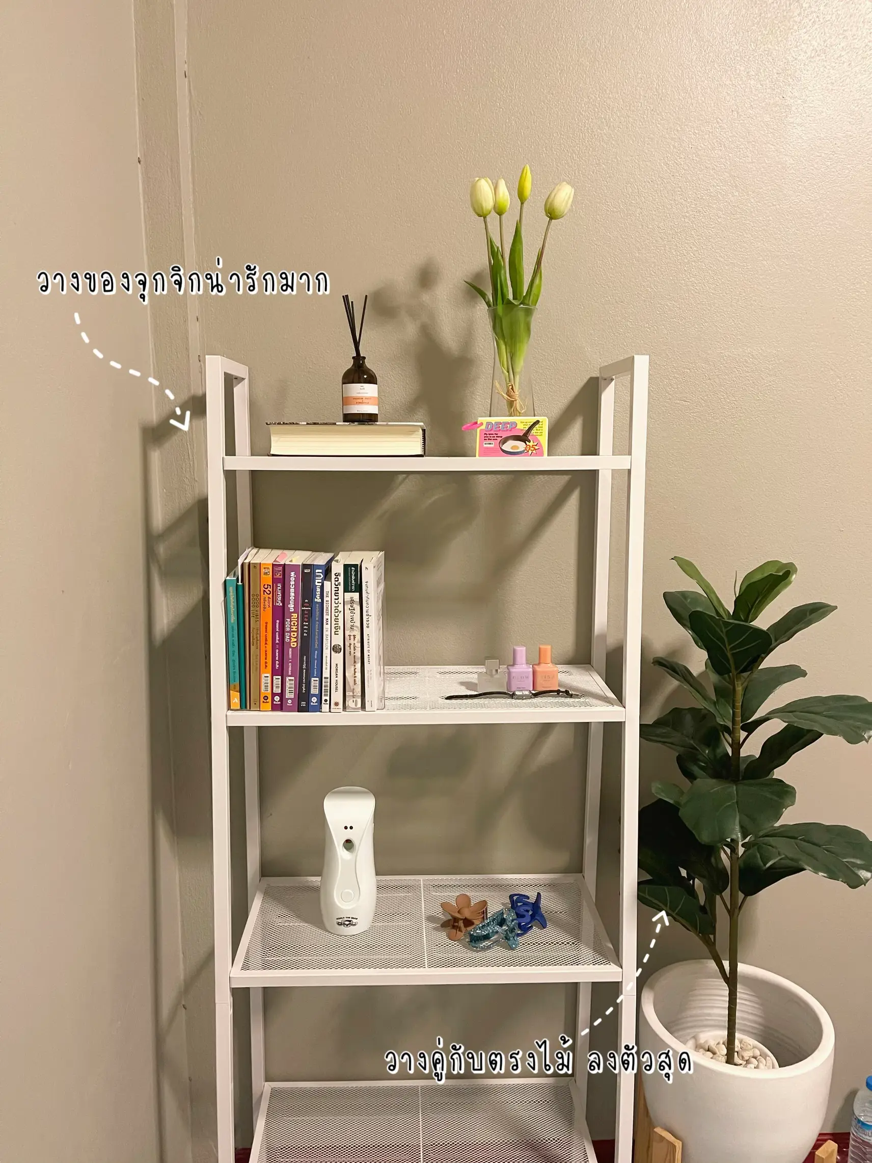 ป้ายยาชั้นวางของสุดฮิตราคา 2XX.- | แกลเลอรีที่โพสต์โดย Sarasaran | Lemon8