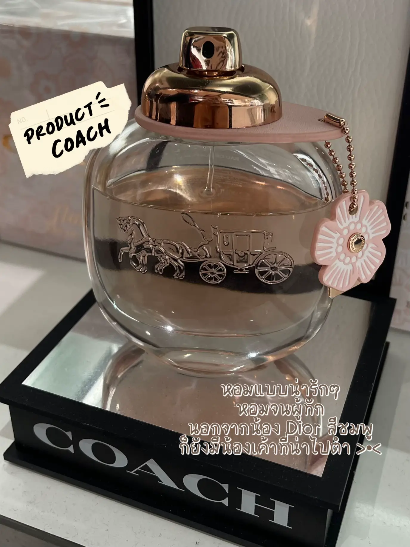 หอมหวานไม่แพ้ใคร Coach | แกลเลอรีที่โพสต์โดย AnotherPlanet | Lemon8