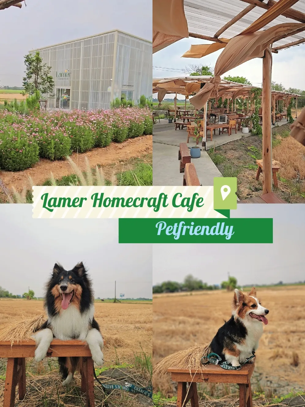LAMER HOMECRAFT CAFE 🌾 | แกลเลอรีที่โพสต์โดย aster.corgi | Lemon8