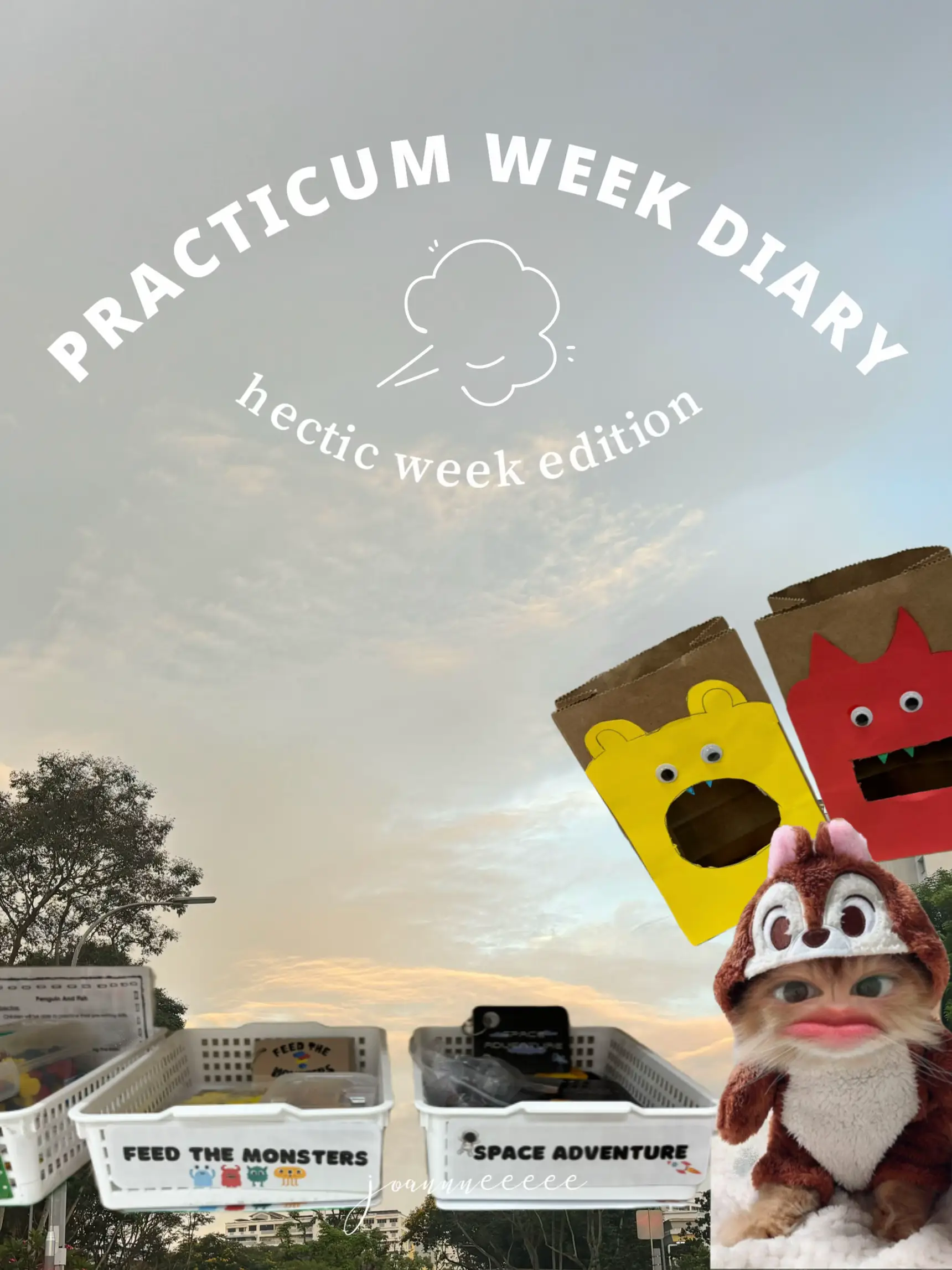 hectic practicum diary week ⏩💨📆 | Gallery posted by joanne | Lemon8