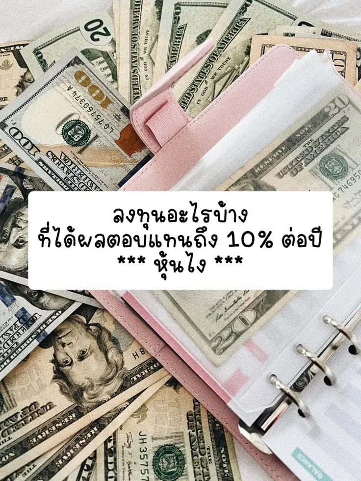 มนุษย์เงินเดือน...อยากหาเงิน10ล้าน ?? | แกลเลอรีที่โพสต์โดย shebeen - ชีบีน | Lemon8
