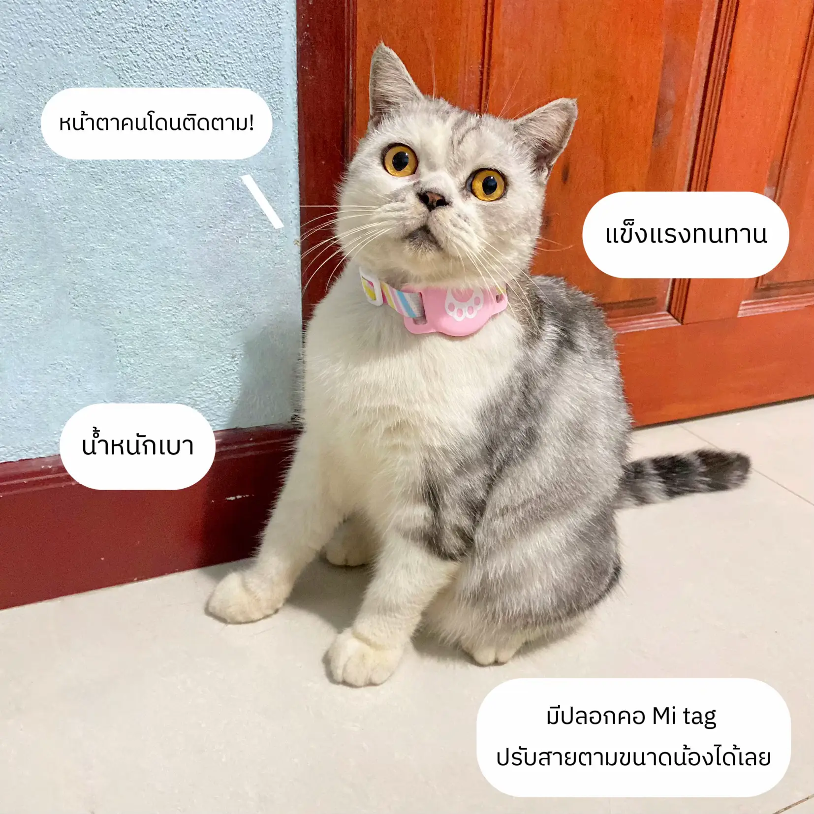 Mi tag เครื่องติดตามบลูธูท! 📍🗺️ | แกลเลอรีที่โพสต์โดย นักป้ายยาราคาดี ...