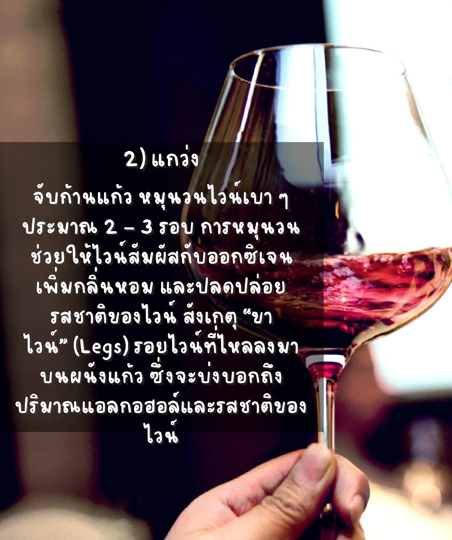4 วิธีง่ายๆ ดื่มไวน์ยังไงให้ดูโปรแบบมืออาชีพ 🍷 | แกลเลอรีที่โพสต์โดย Infinite Wine | Lemon8