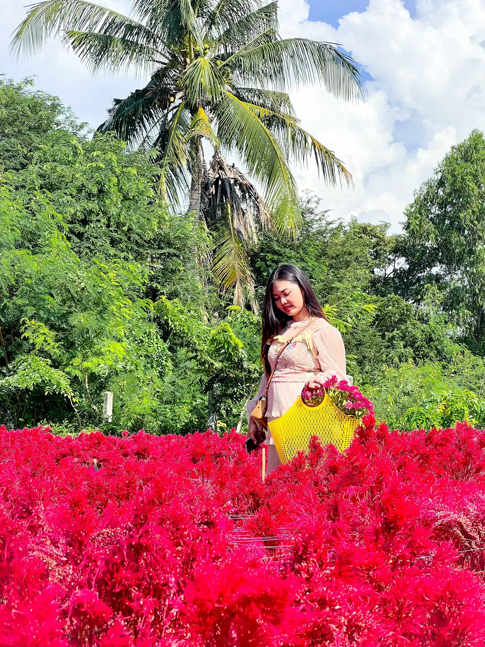 DD Flower Farm 🌷💐🪻🌼🌻 | แกลเลอรีที่โพสต์โดย Thanyarat.b | Lemon8