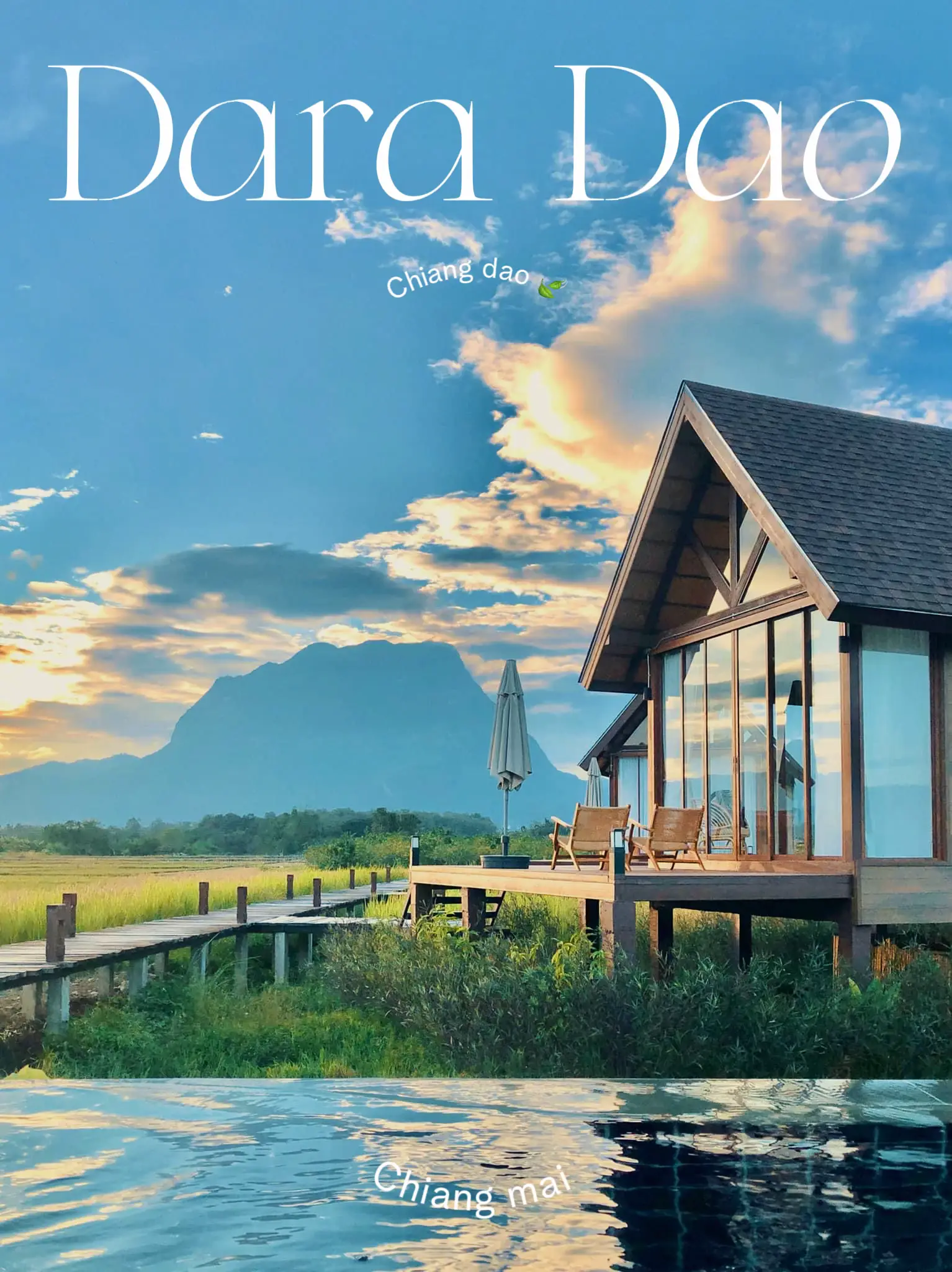 Dara Dao | Gallery posted by Baby.Jane | Lemon8