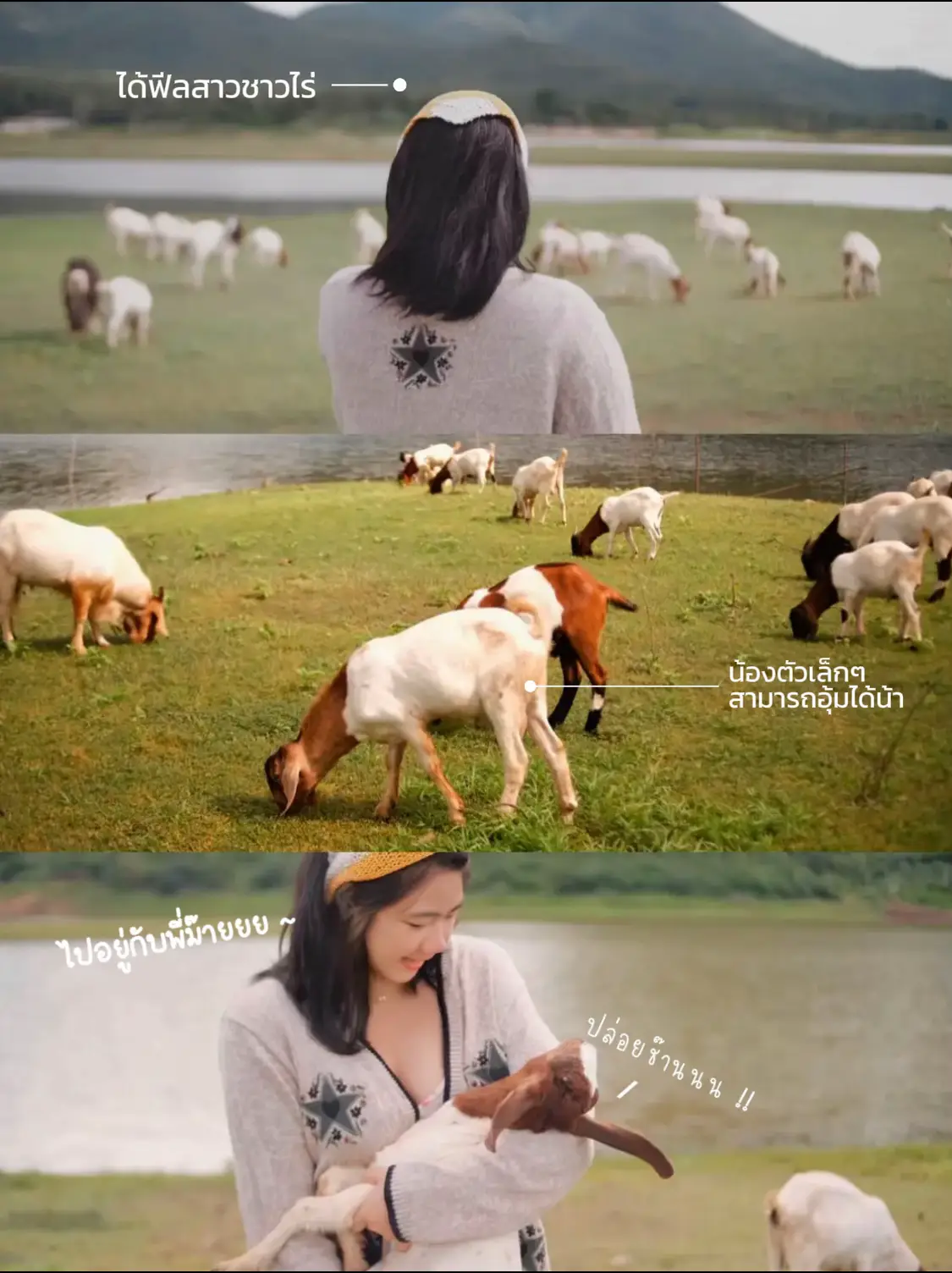 สวิตเซอร์แลนด์ อยู่ใกล้แค่สุพรรณนี่เอง ~ 🌳🍃 | แกลเลอรีที่โพสต์โดย Chali_li 🫧 | Lemon8