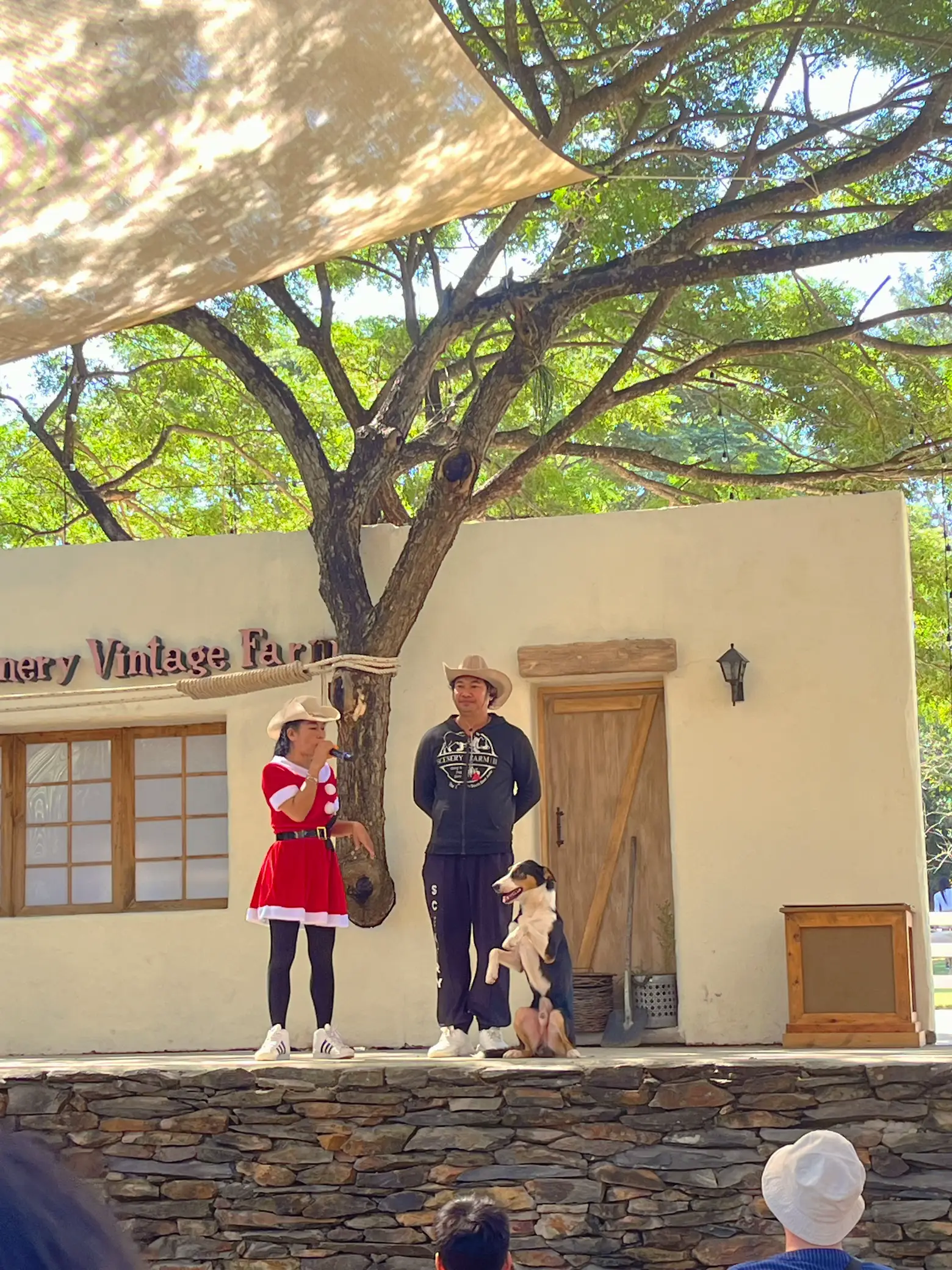 พาเที่ยวฟาร์มวันเด็ก scenery vintage farm ราชบุรี | แกลเลอรีที่โพสต์โดย ...