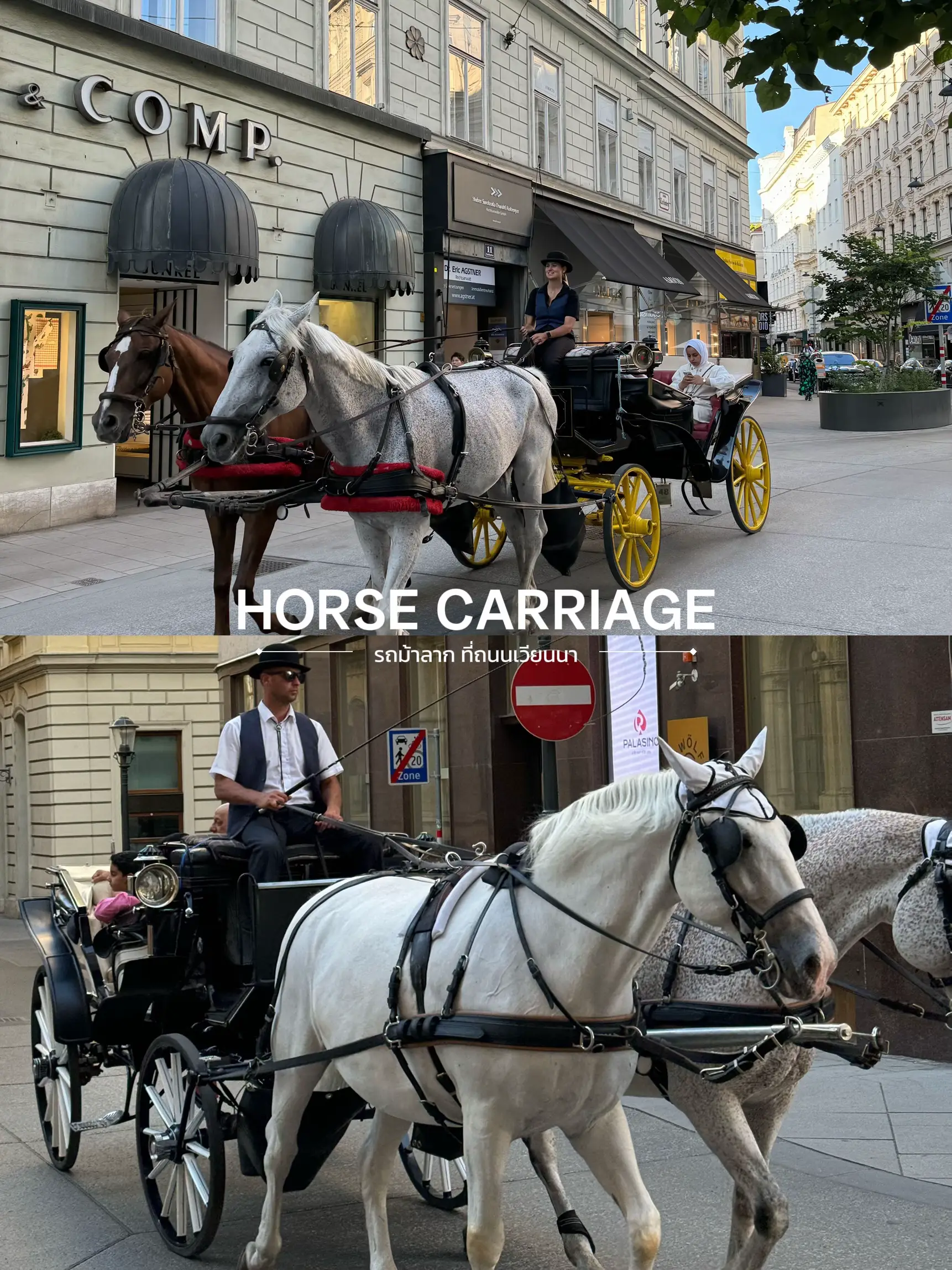 Vienna ออสเตรีย เสน่ห์เมืองสวย แห่งยุโรป 🇦🇹🇪🇺 | แกลเลอรีที่โพสต์โดย ...