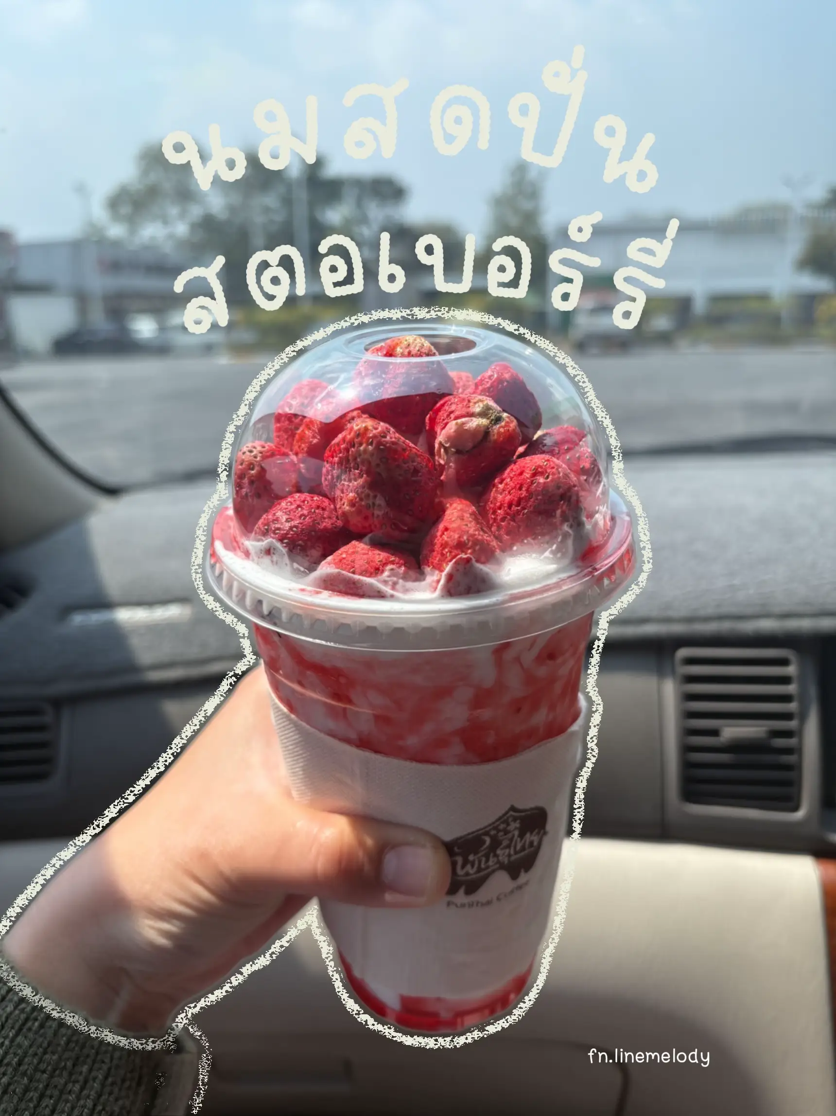 นมสดสตอเบอร์รี่🍓เมนูพันธุ์ไทย | แกลเลอรีที่โพสต์โดย MooFah Niracha | Lemon8