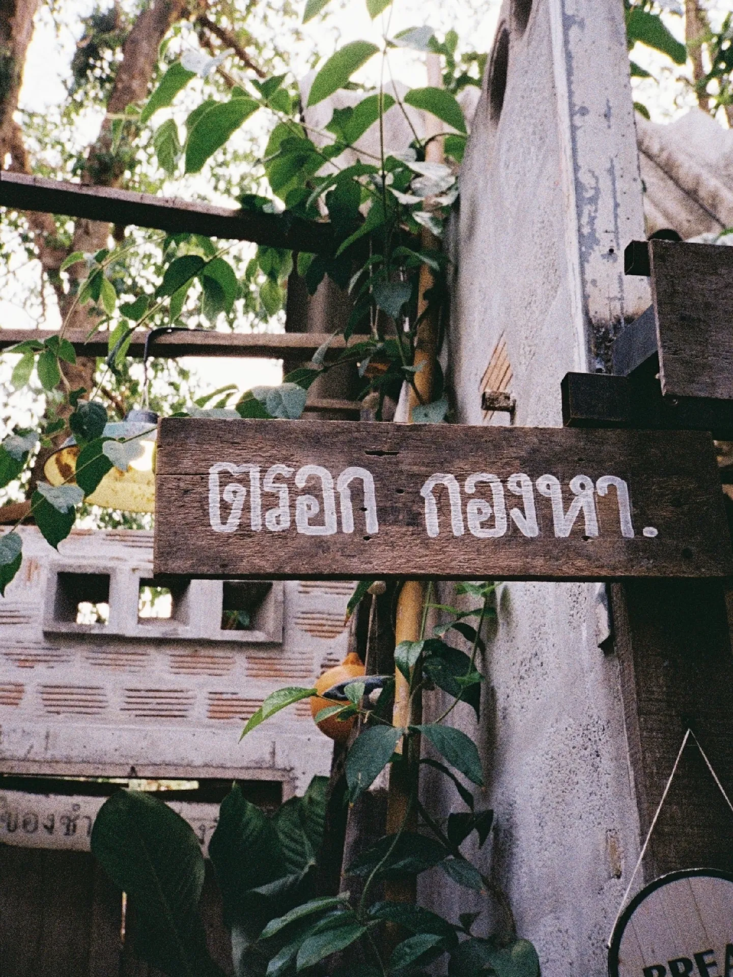 Canon Demi Half-Frame Camera 📸 | แกลเลอรีที่โพสต์โดย Nessnap 📸 | Lemon8